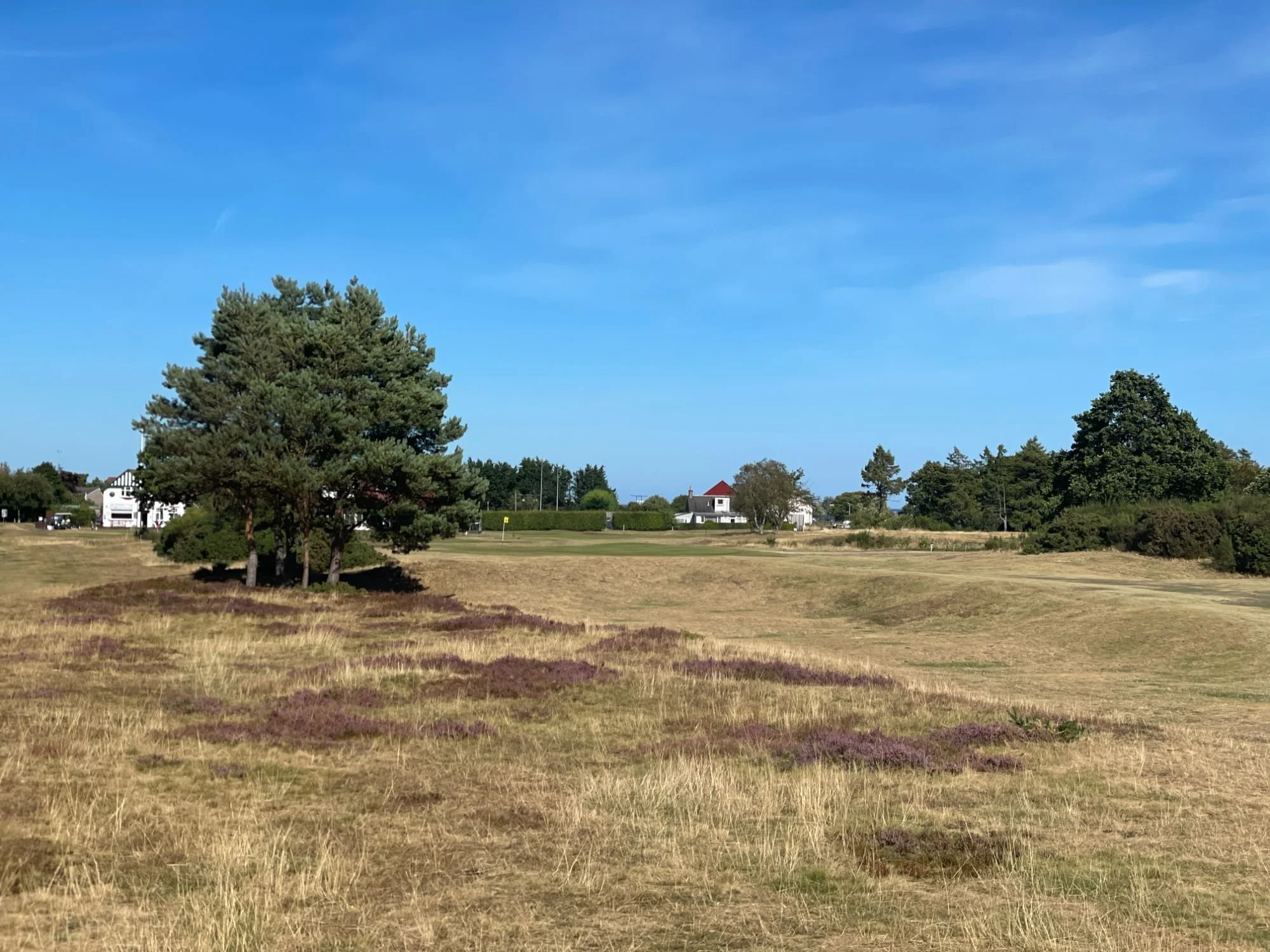 Scotscraig Golf Club | Golf Course Review — UK Golf Guy