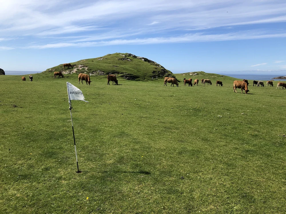 Clyde Johnson's Favourite Courses — UK Golf Guy