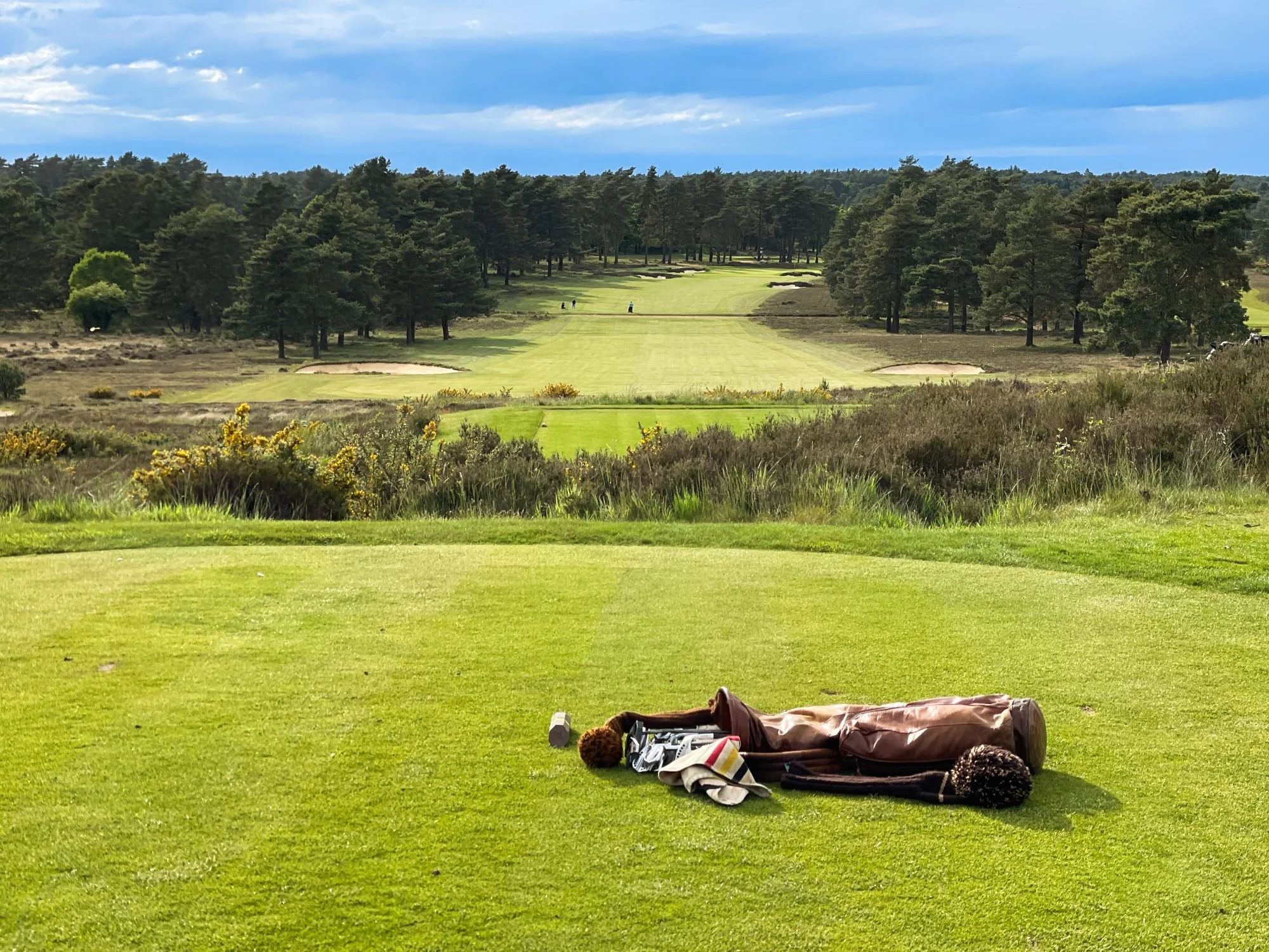 Hankley Common Golf Club | Golf Course Review — UK Golf Guy