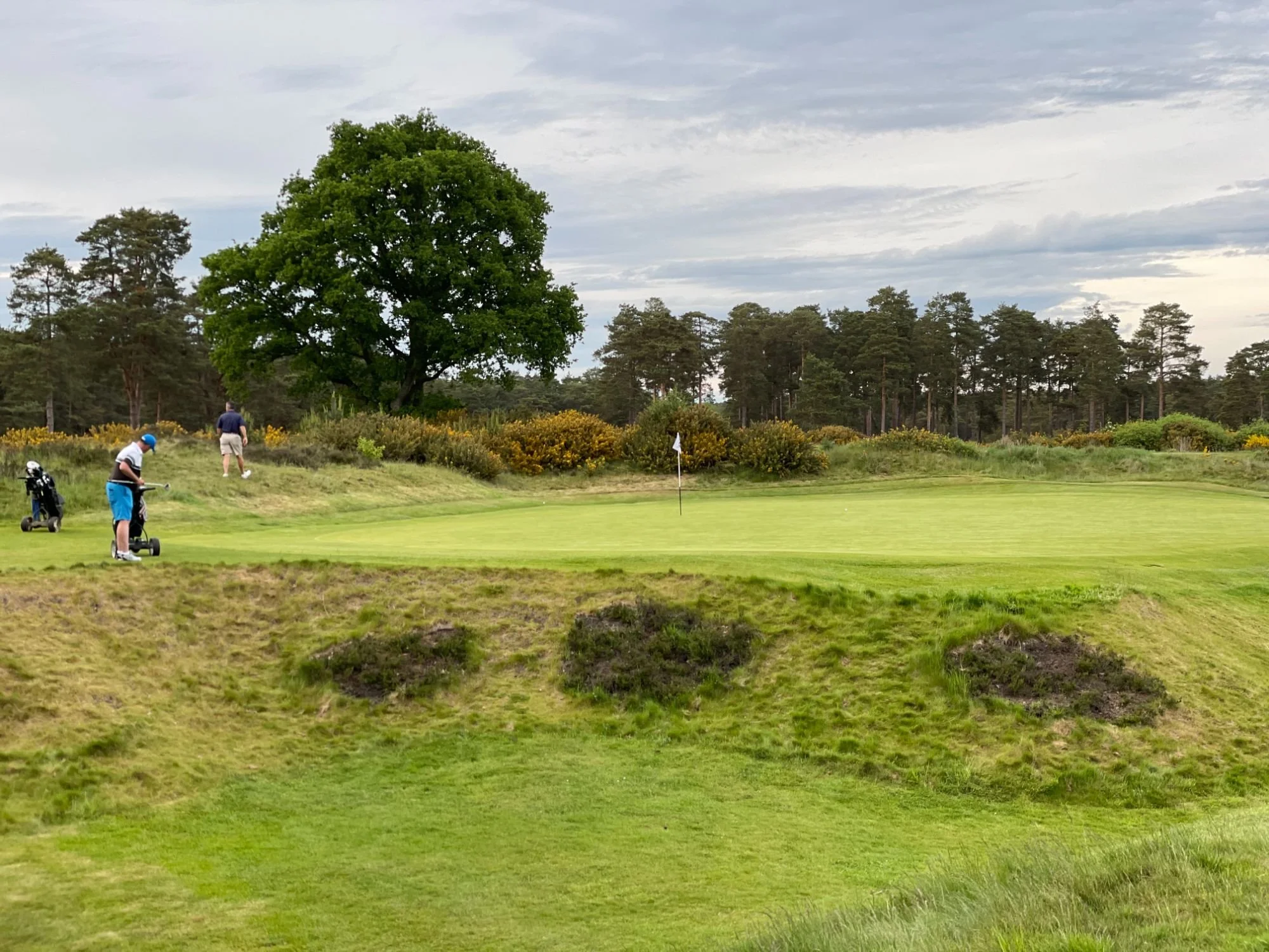 Hankley Common Golf Club | Golf Course Review — UK Golf Guy