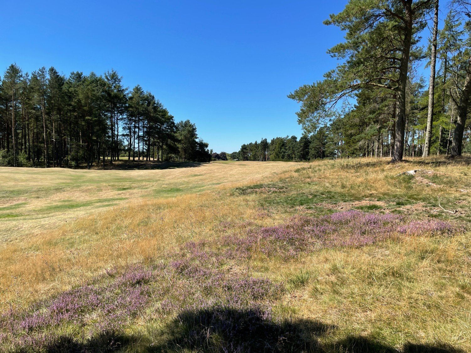 Forfar Golf Club | Golf Club Review — UK Golf Guy