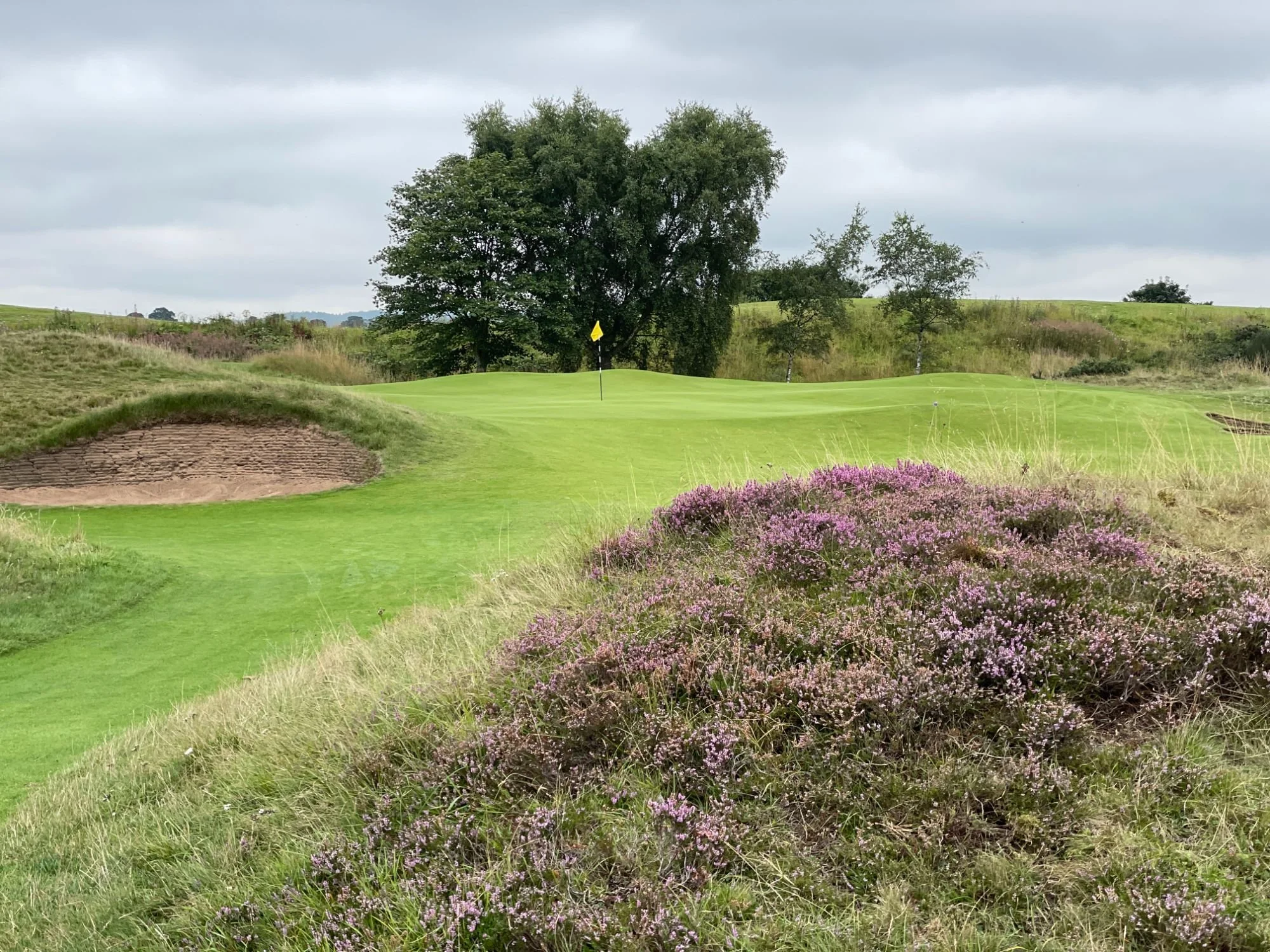 Scotscraig Golf Club | Golf Course Review — UK Golf Guy