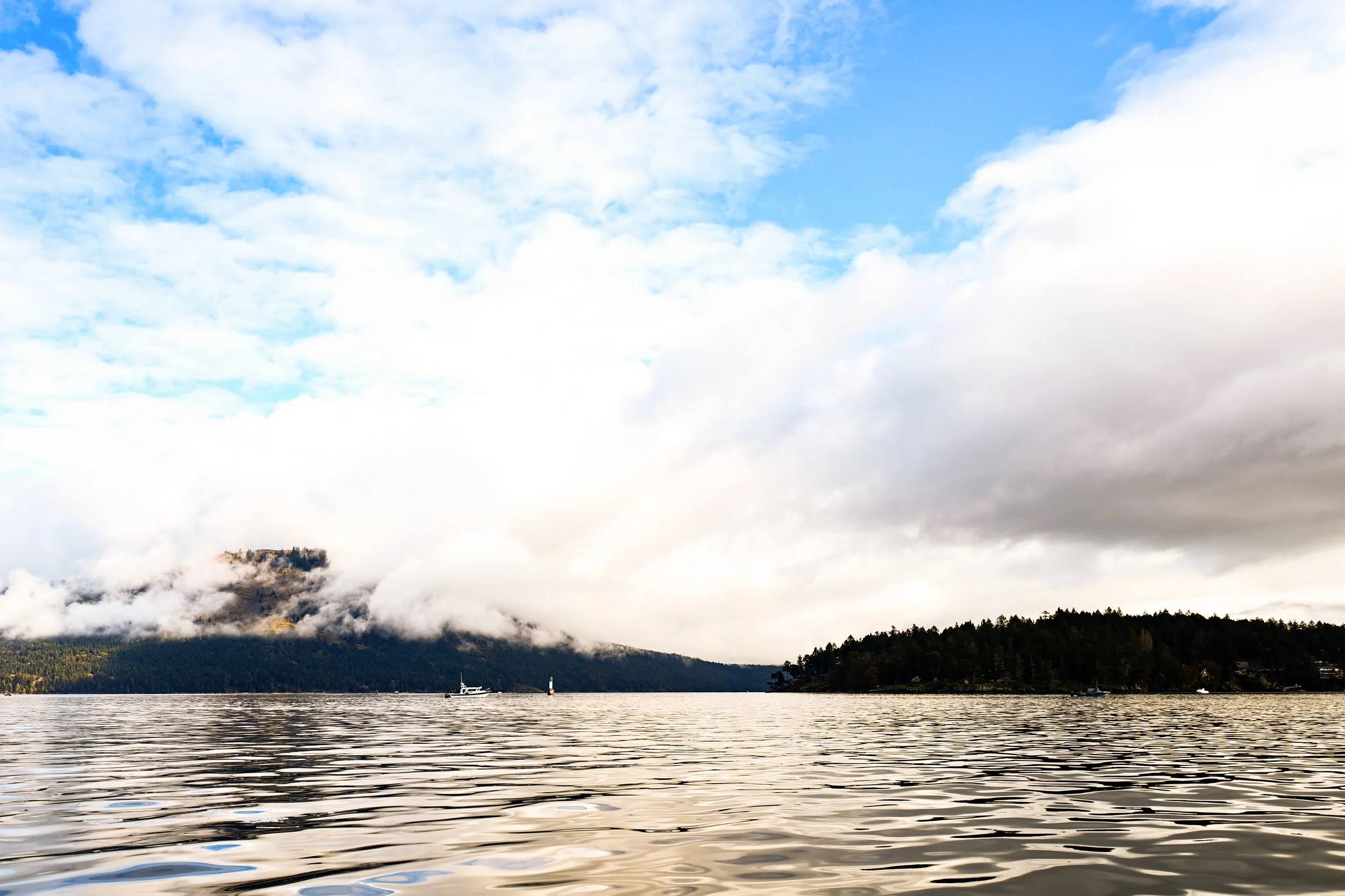 Adventures in Mill Bay — Mill Bay Marina