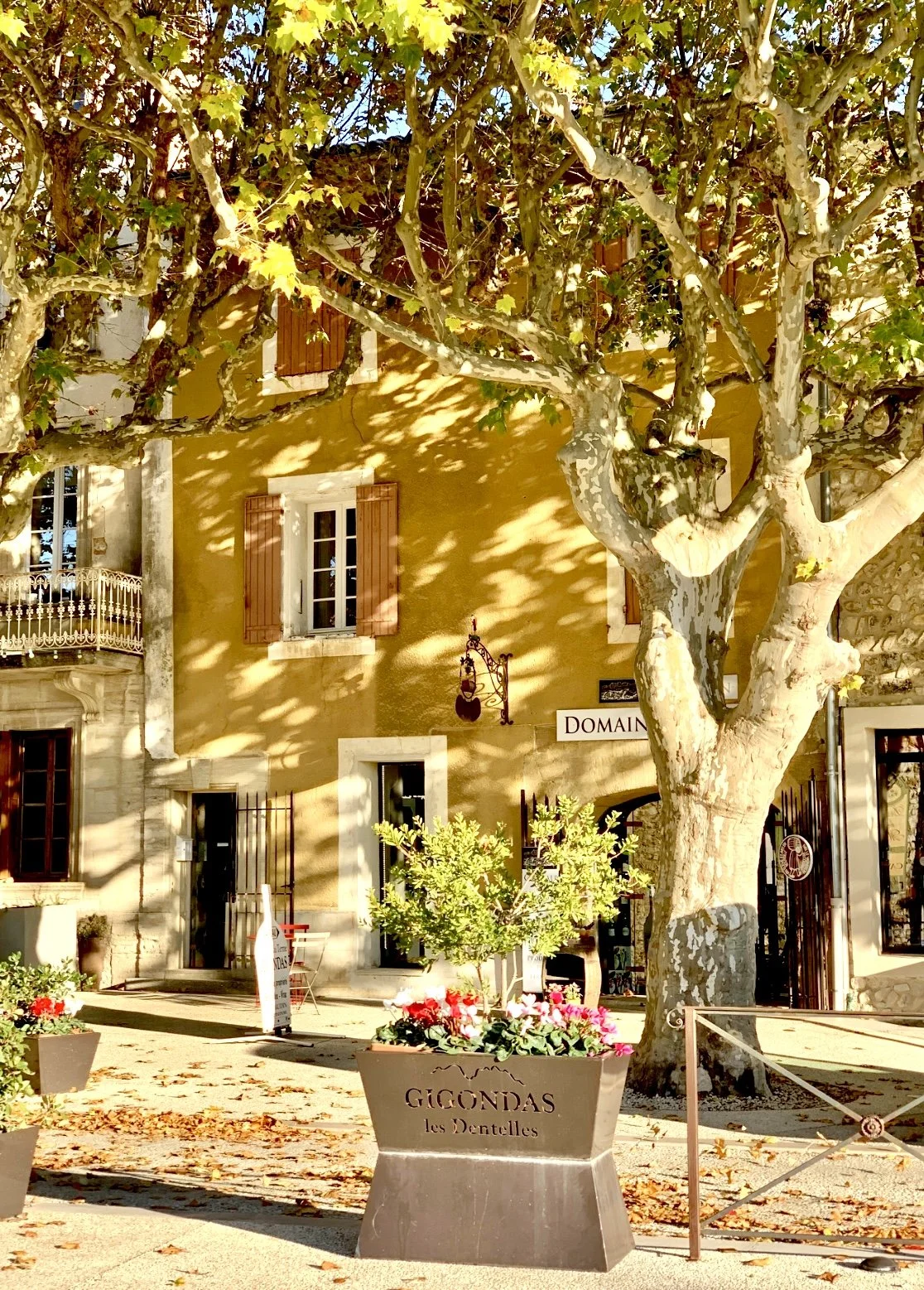 Gigondas, One of Southern Rhône’s Finest — The Wine Chef