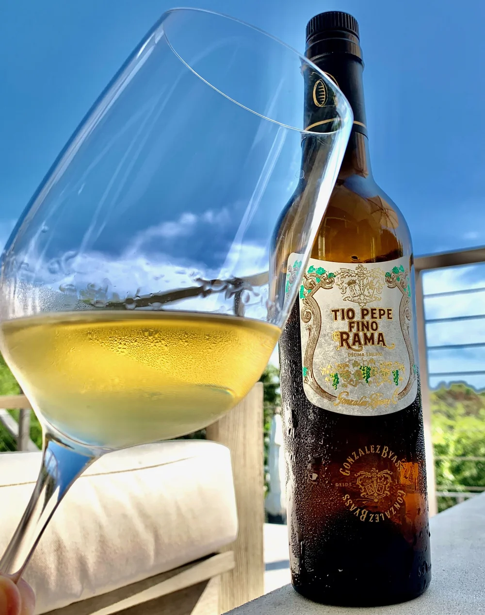 Host a Tapas Party: Seven Easy-to-Make Recipes Paired with Spanish ...