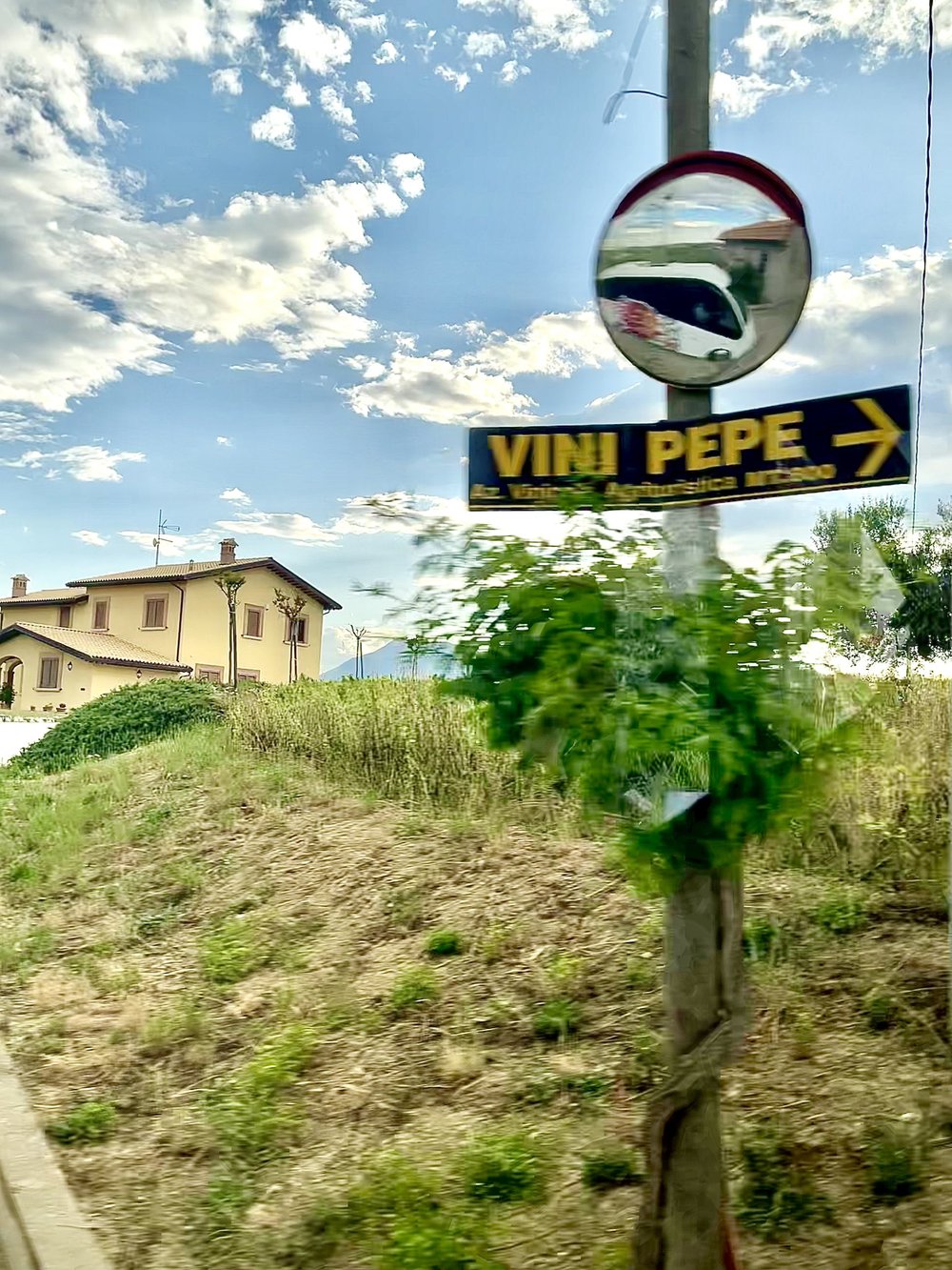 Emidio Pepe Winery: A Tale of Tradition — The Wine Chef