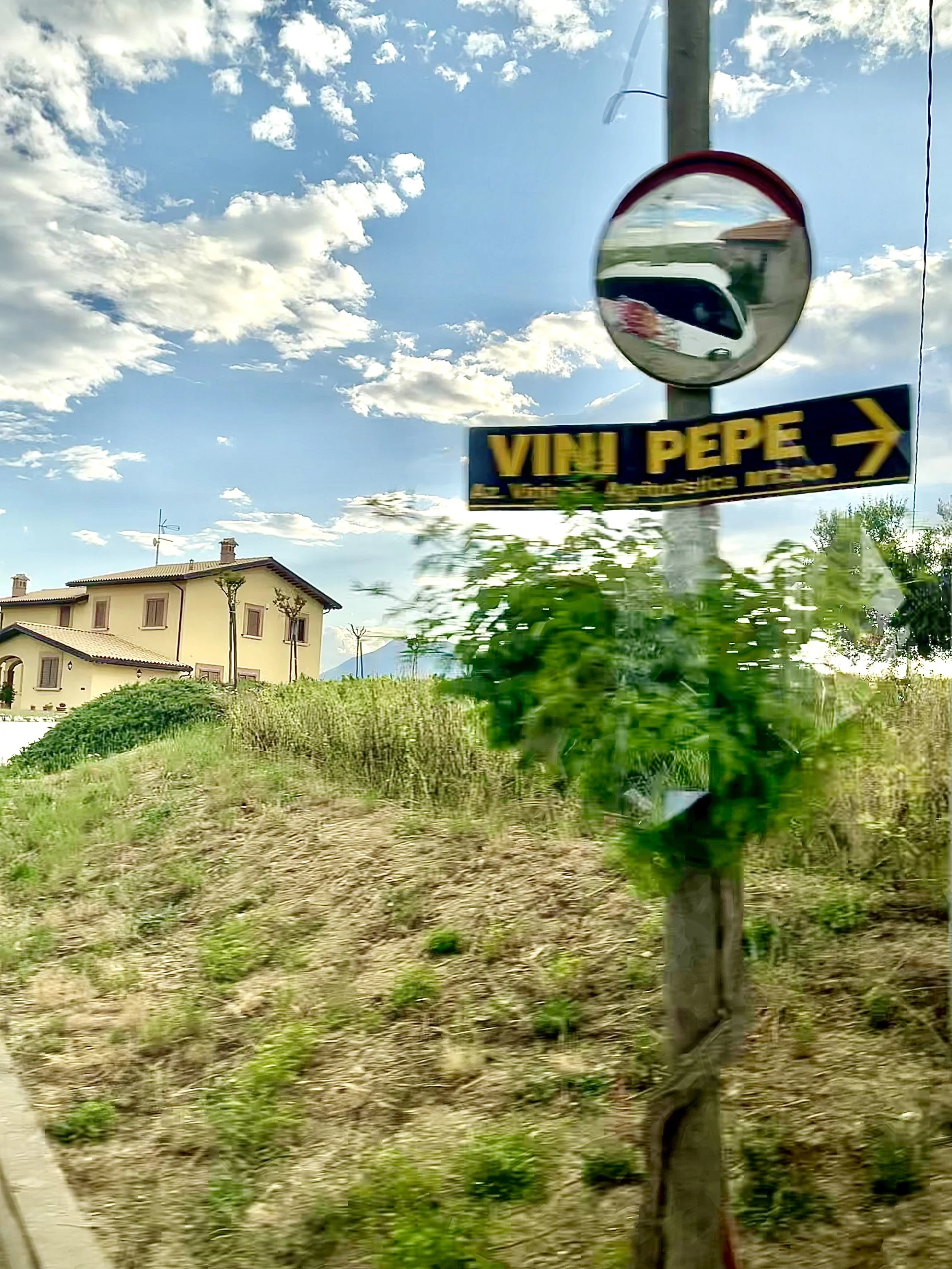Emidio Pepe Winery: A Tale of Tradition — The Wine Chef