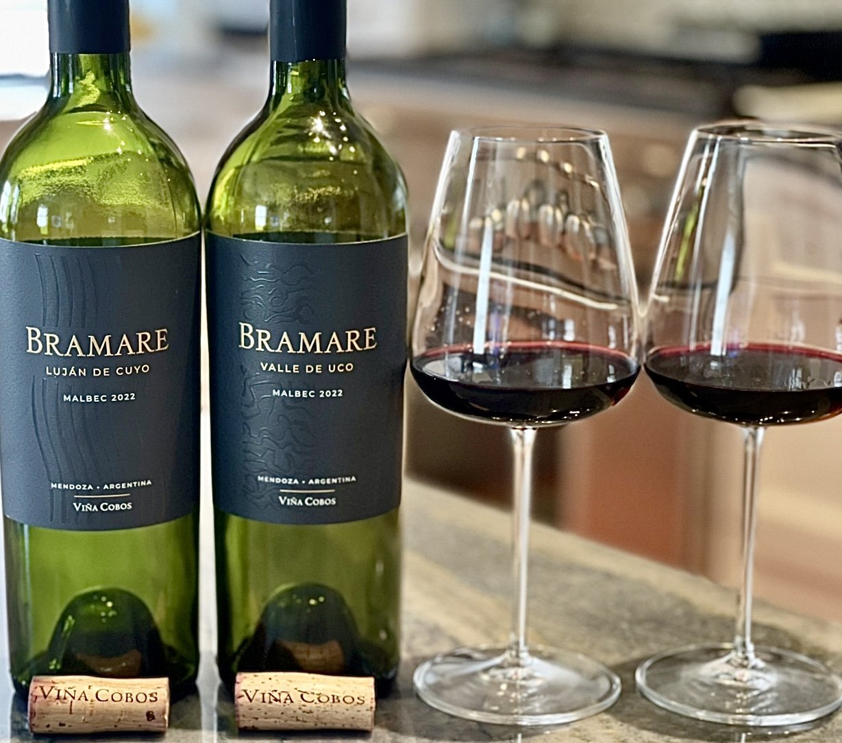 Viña Cobos Bramare Malbec: A Tale of Two Terroirs — The Wine Chef