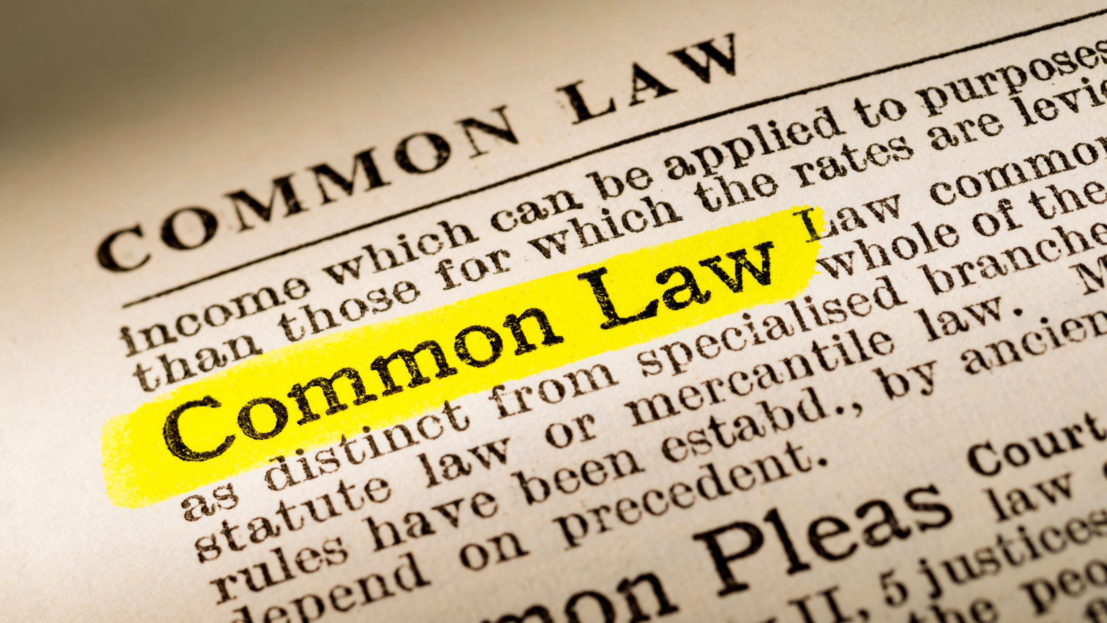 Understanding Common Law Qualified Privilege: An overview from Palmer v ...