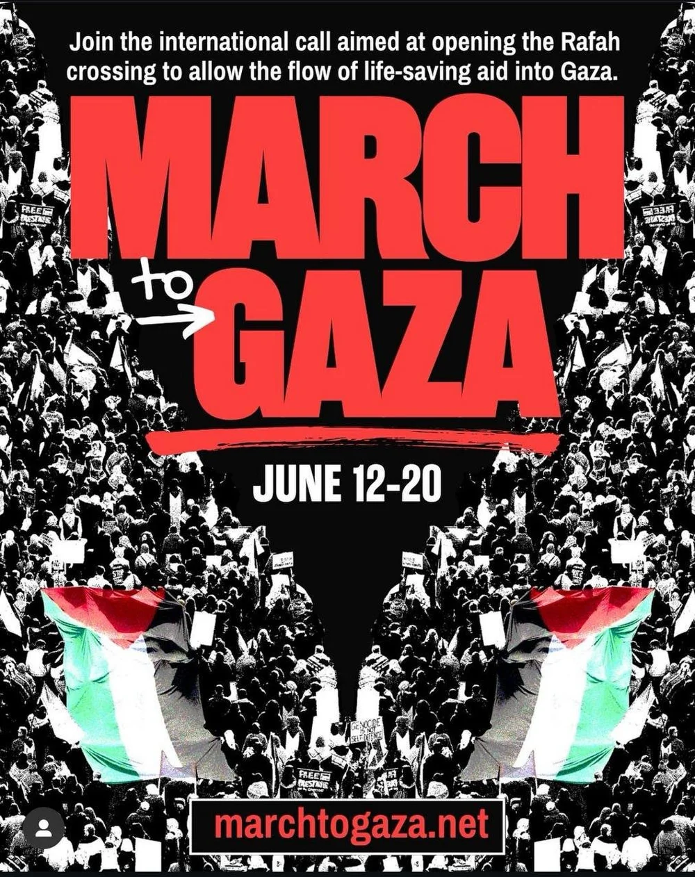 Doe mee: Global March To Gaza — Plant een Olijfboom