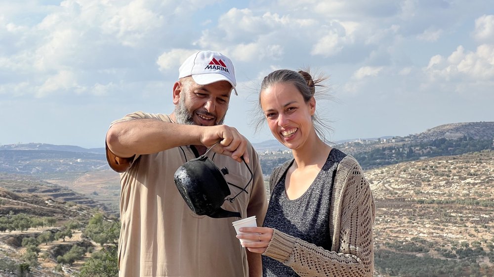 Terug naar bomen die in 2016 zijn geplant — Plant een Olijfboom