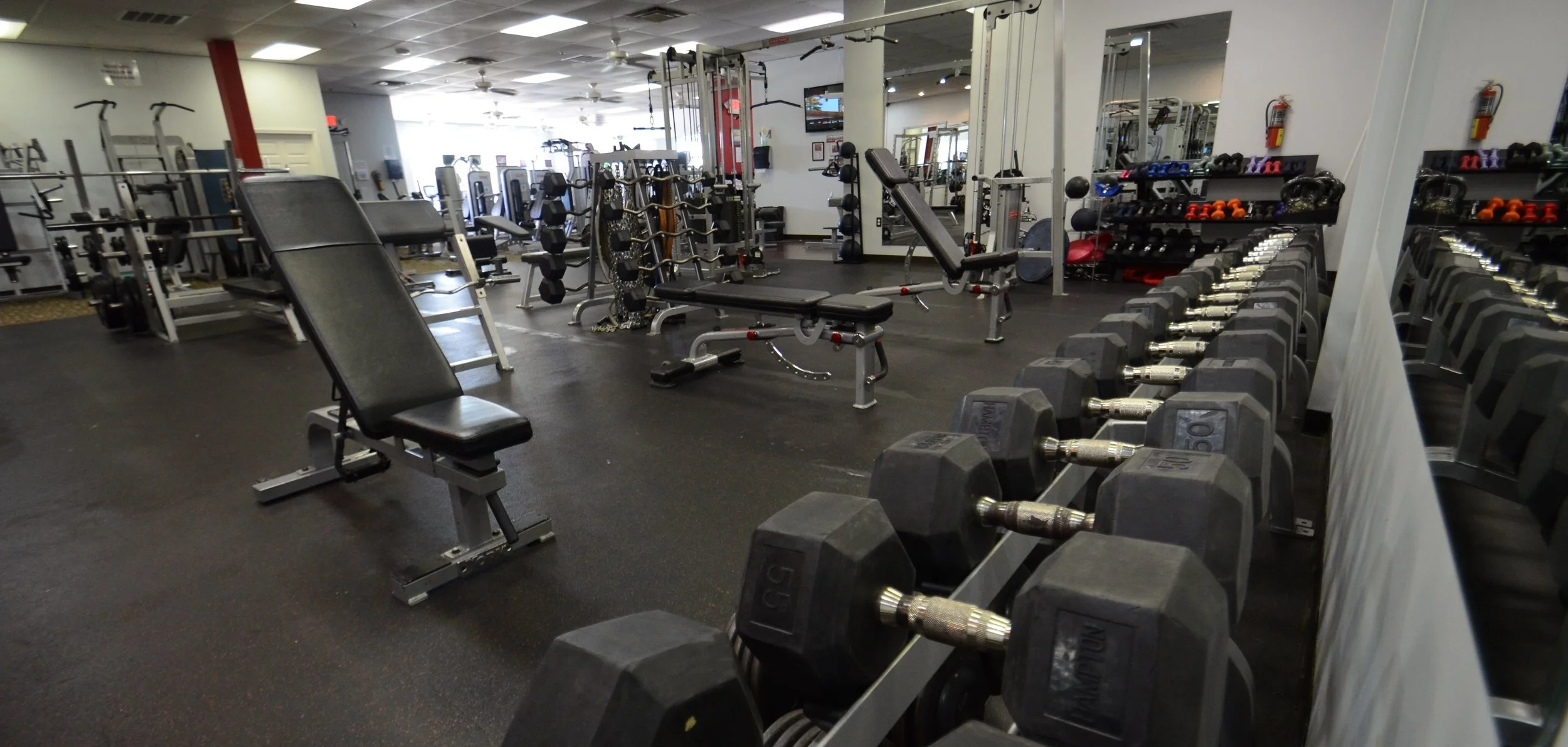 Functionally Fit