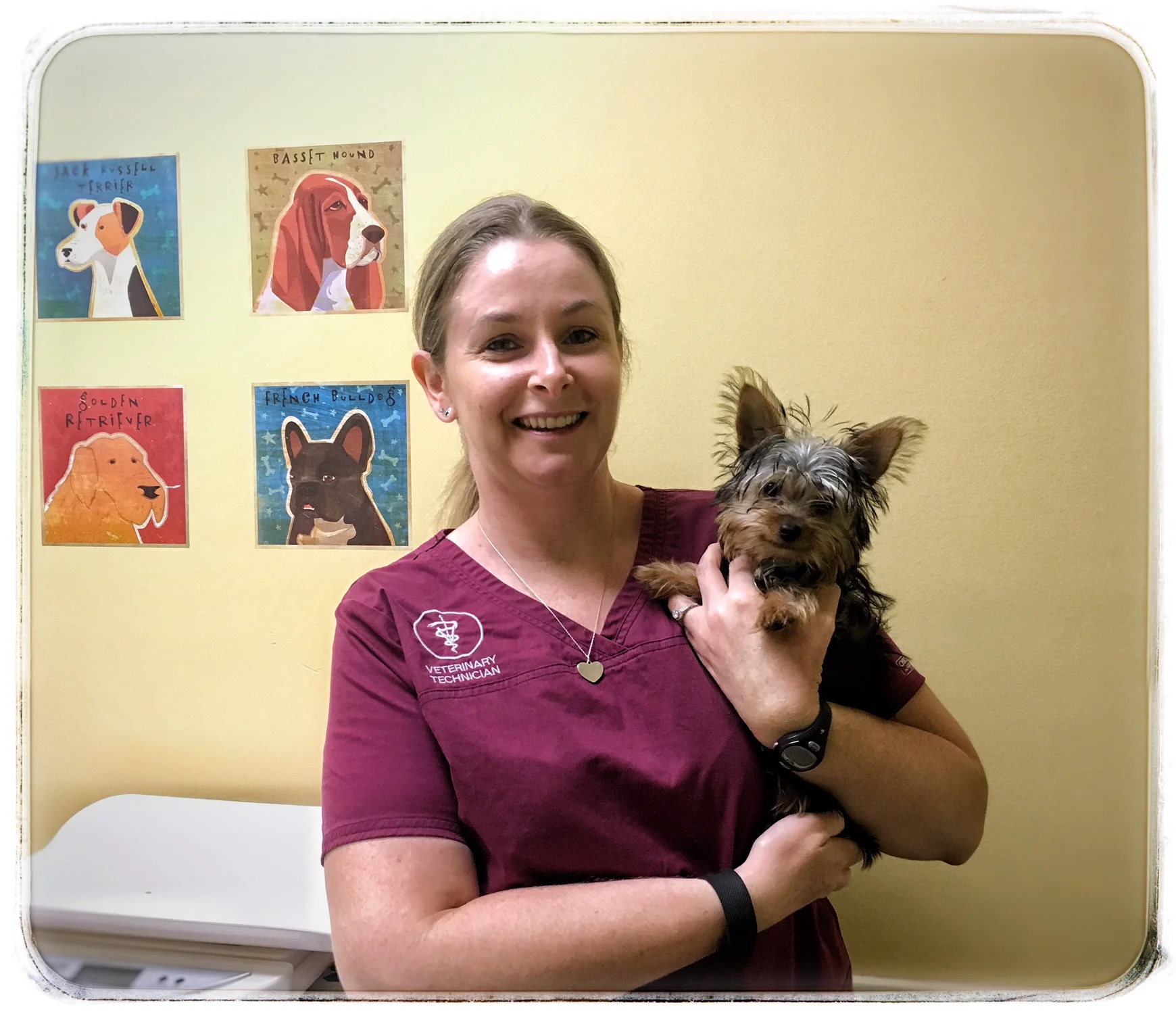 Staff Dixboro Veterinary Dental Clinic staff-dixboro-veterinary-dental-clinic