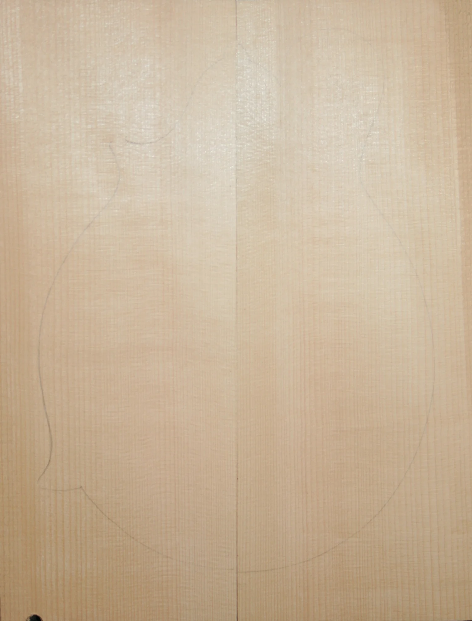 Adirondack Red Spruce Mandolin Wood — Old Standard Wood