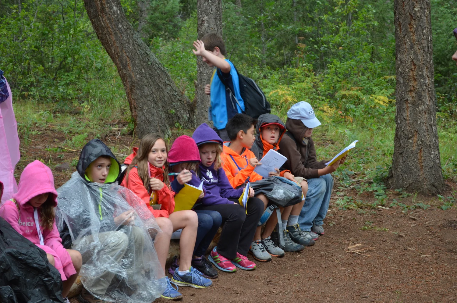 Curriculum — Stone Canyon Outdoor EdVentures