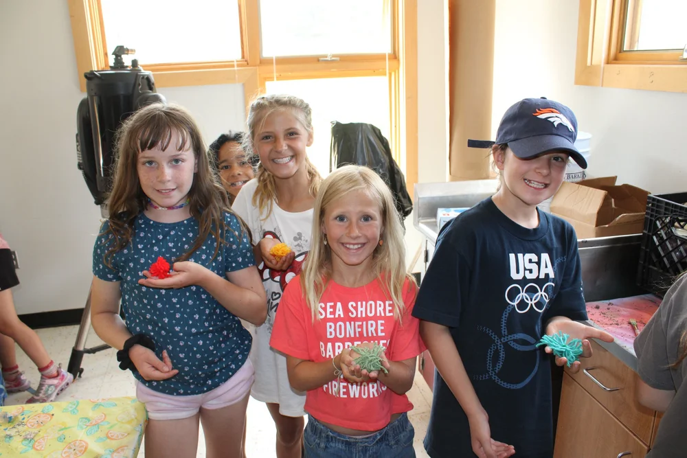 Summer Day Camp — Stone Canyon Outdoor EdVentures