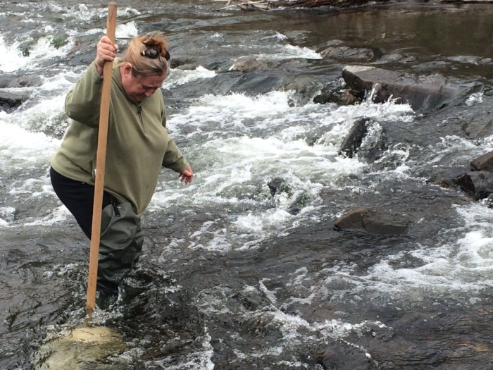 Coalition for the Delaware River Watershed — The Invasive New Zealand ...