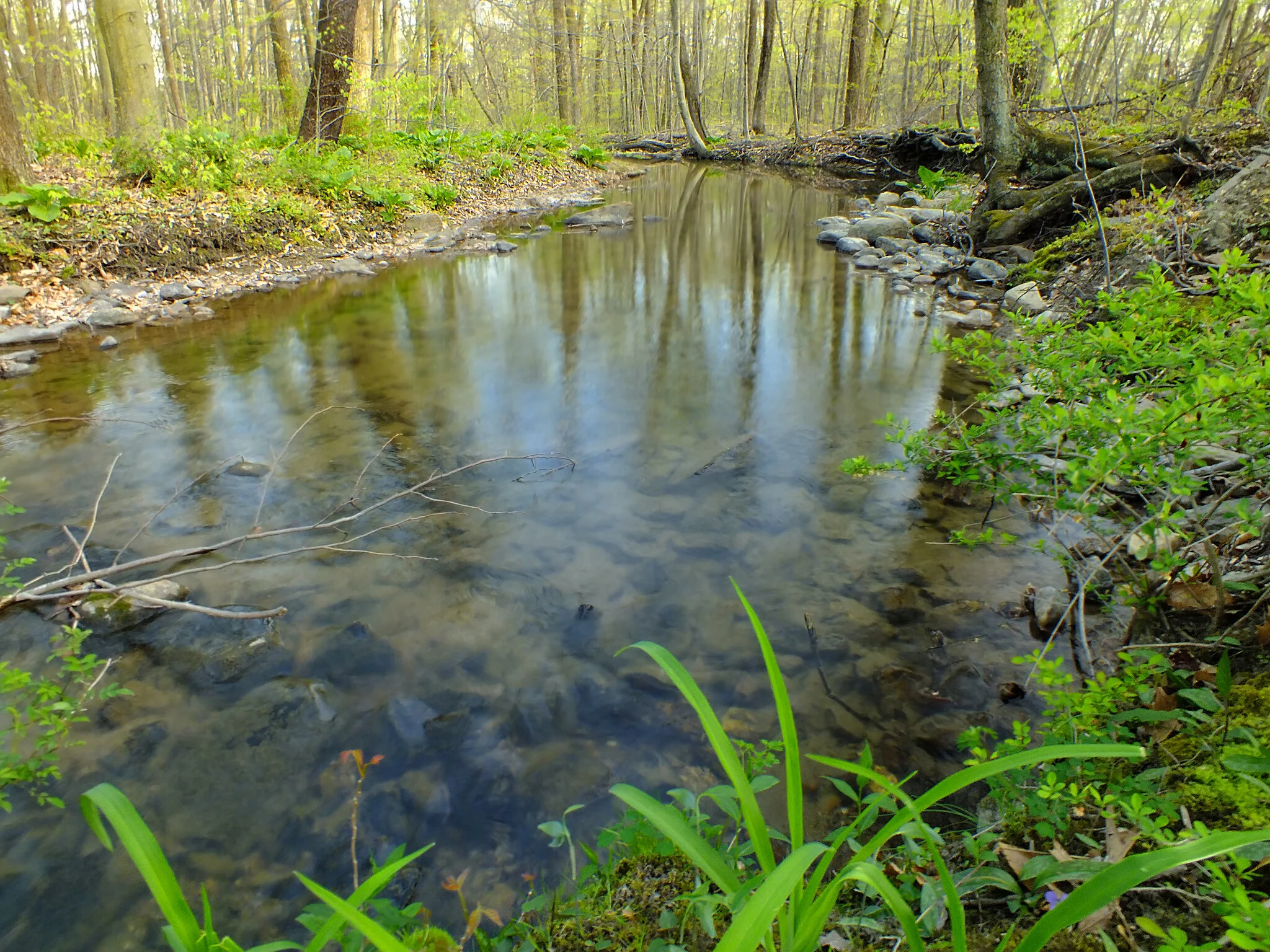 Coalition for the Delaware River Watershed — Congress Introduces the ...