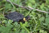 Coalition for the Delaware River Watershed — The Delaware River ...