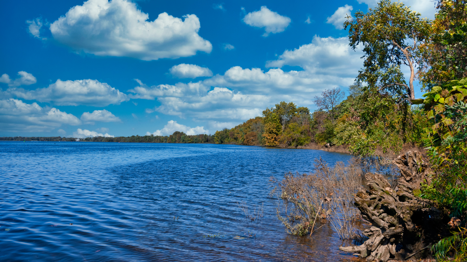 Coalition for the Delaware River Watershed — Overview