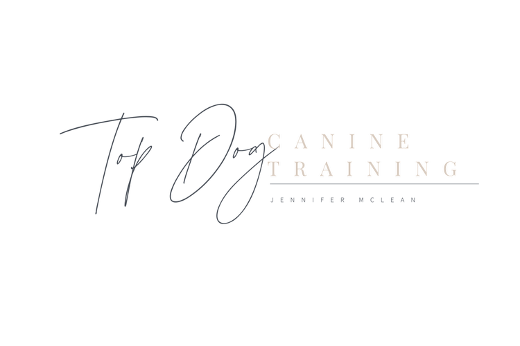 Top Dog Canine Training in Vancouver, BC