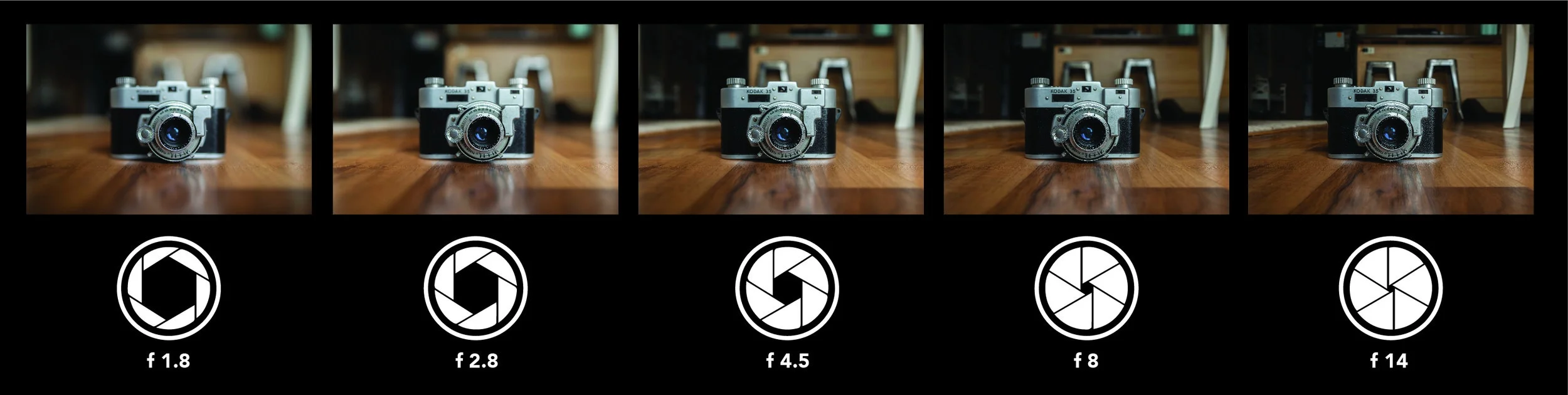 Canon Eos Rebel T7 Shutter Speed Store | www.simpleplanning.net