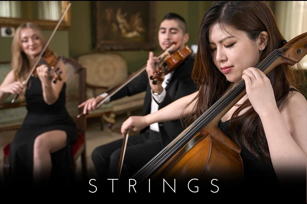 Crowd Theory Entertainment - Our Artists