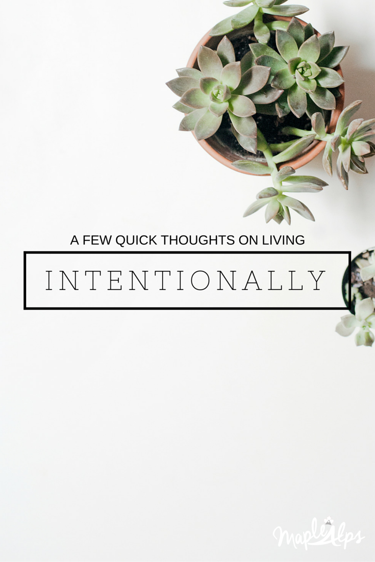 March Highlights & Some Thoughts on Intentionality — Maple Alps