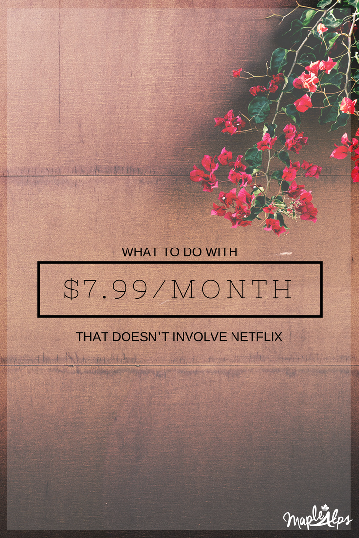 What You Can Do with $7.99/month That Doesn't Involve Netflix — Maple Alps