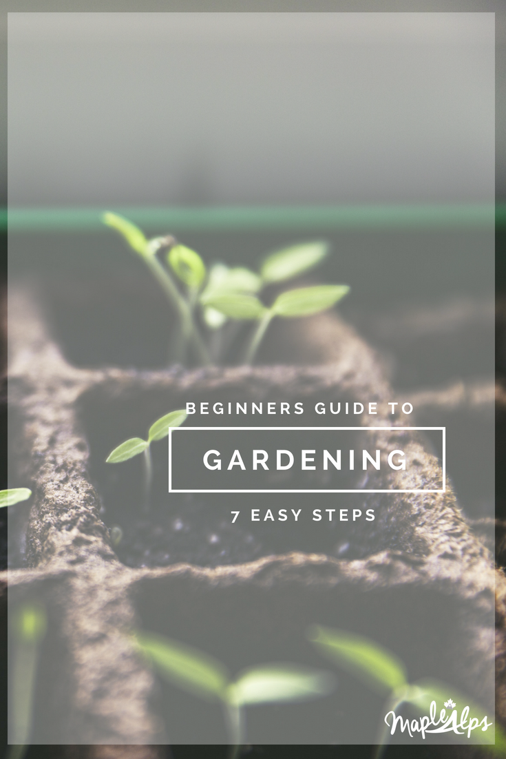 Beginners Guide to Gardening: 7 Tips — Maple Alps