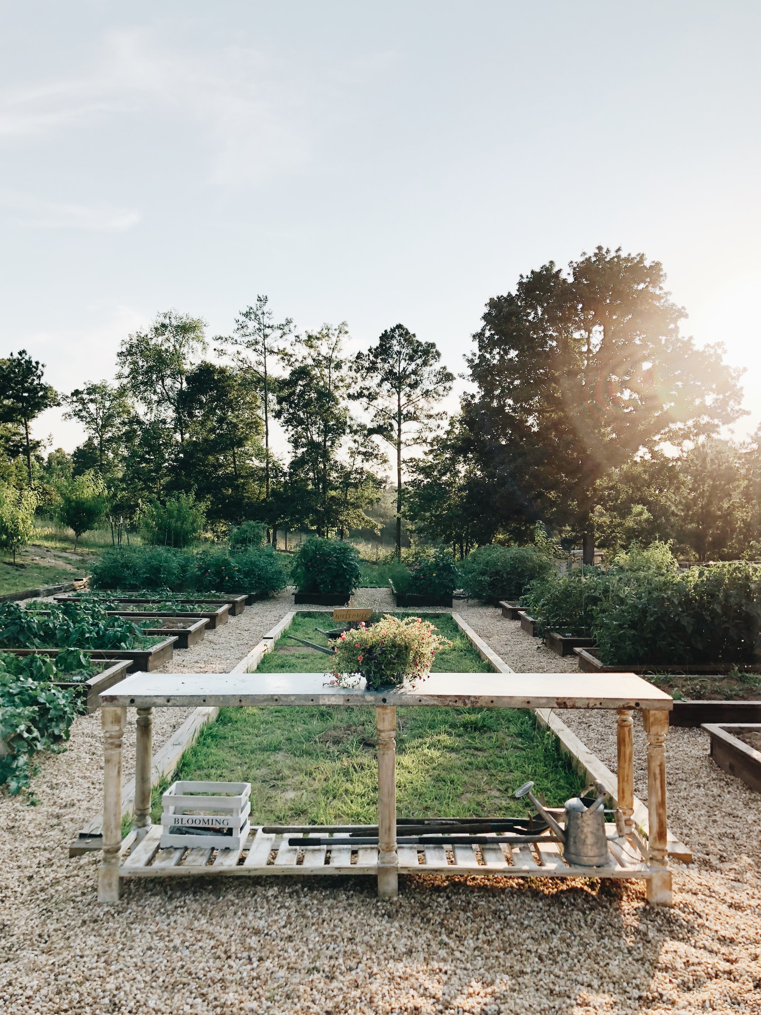 Intentionality Spotlight: Blog Love: Azure Farm — Maple Alps