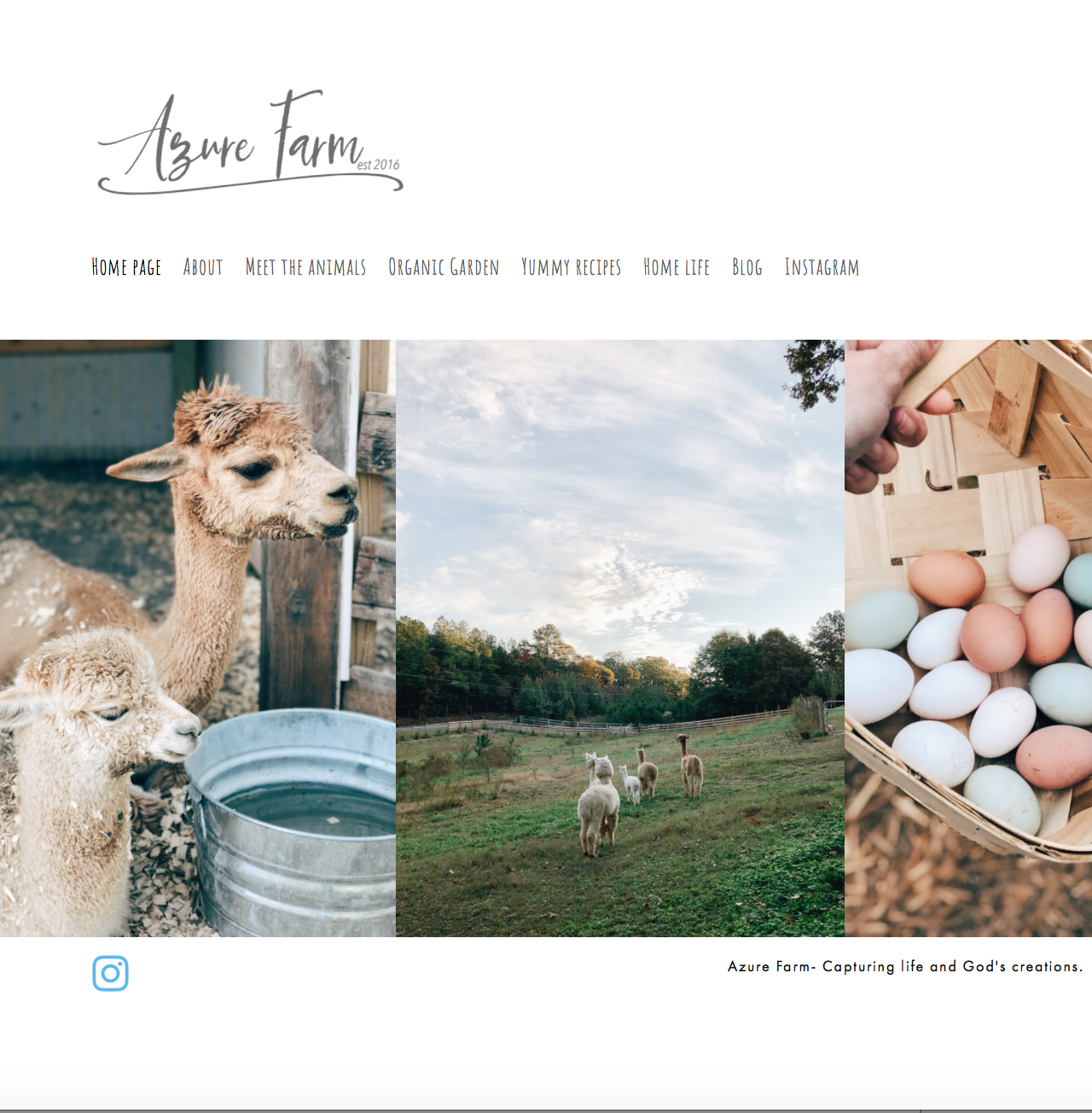 Intentionality Spotlight: Blog Love: Azure Farm — Maple Alps