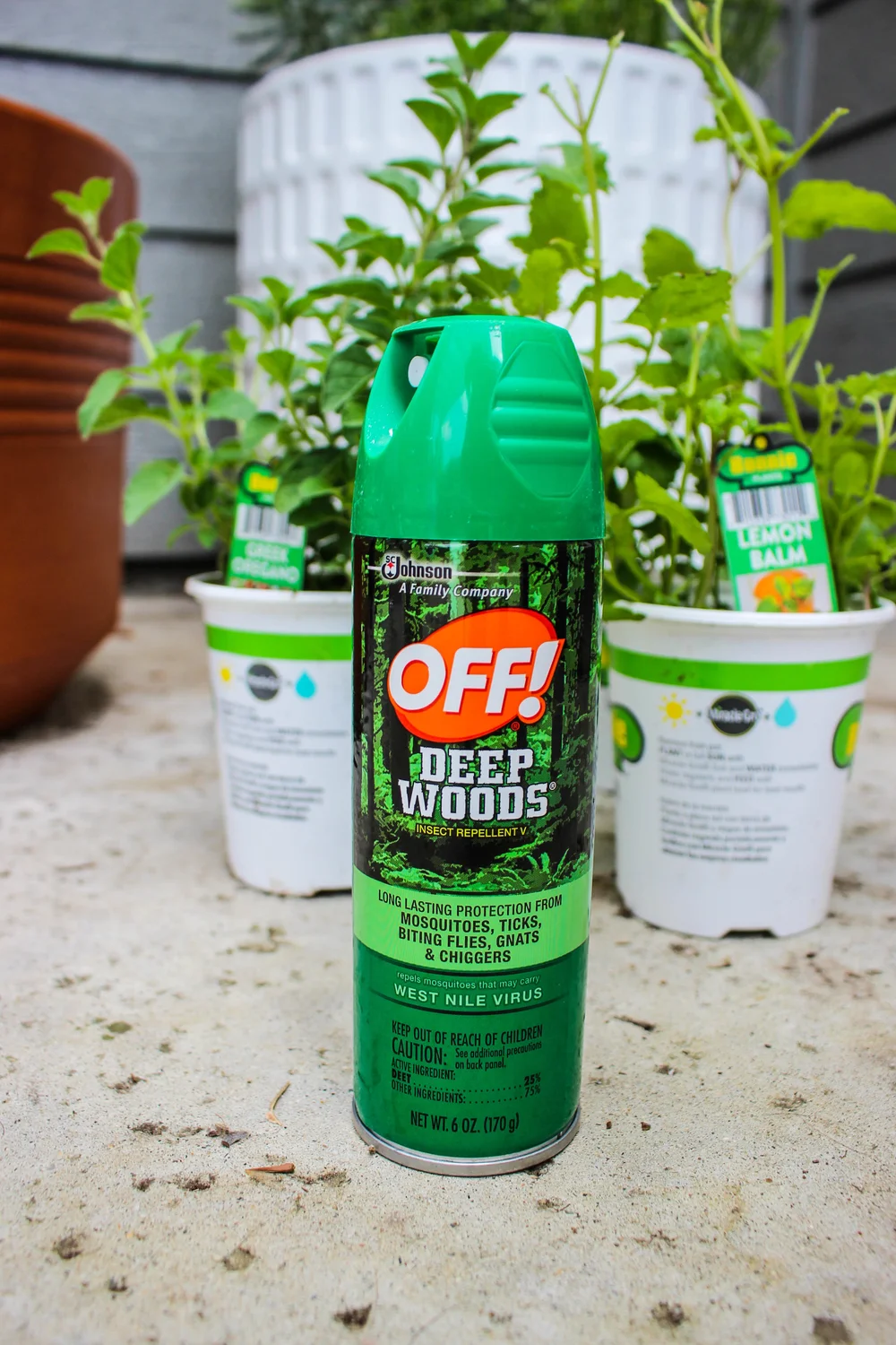Getting Outdoor Projects Tackled with OFF!® — Katrina Blair | Interior ...
