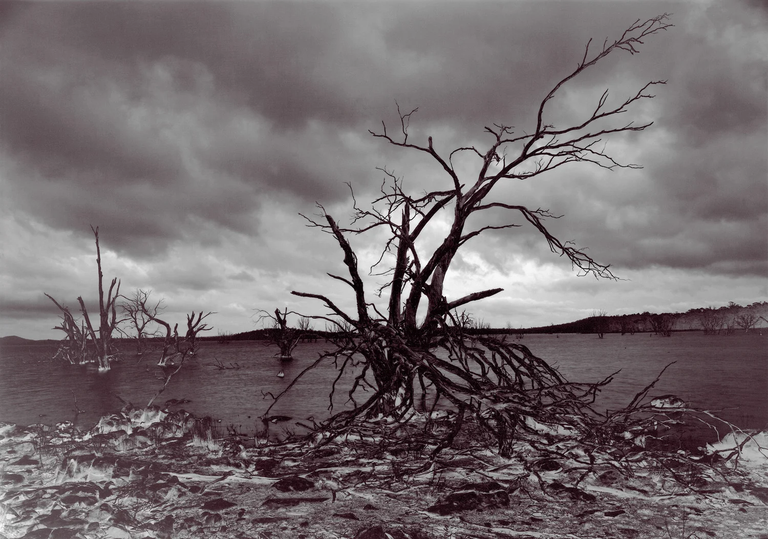 David Stephenson Art