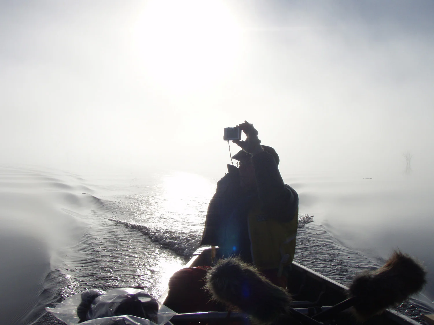 David Stephenson — David Stephenson Art