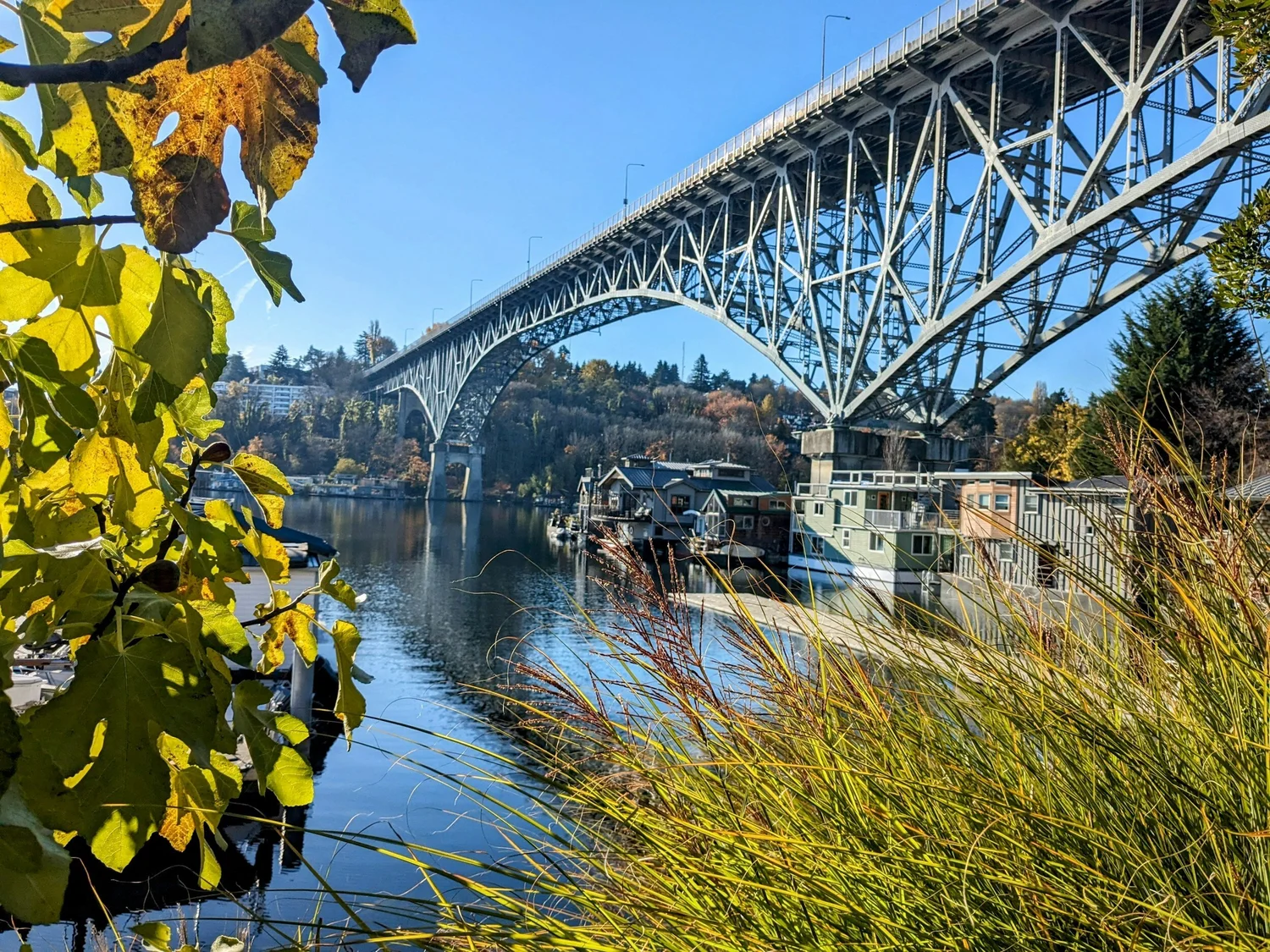 Tenacious 10 – 10-Mile & 10K Run | Seattle, WA