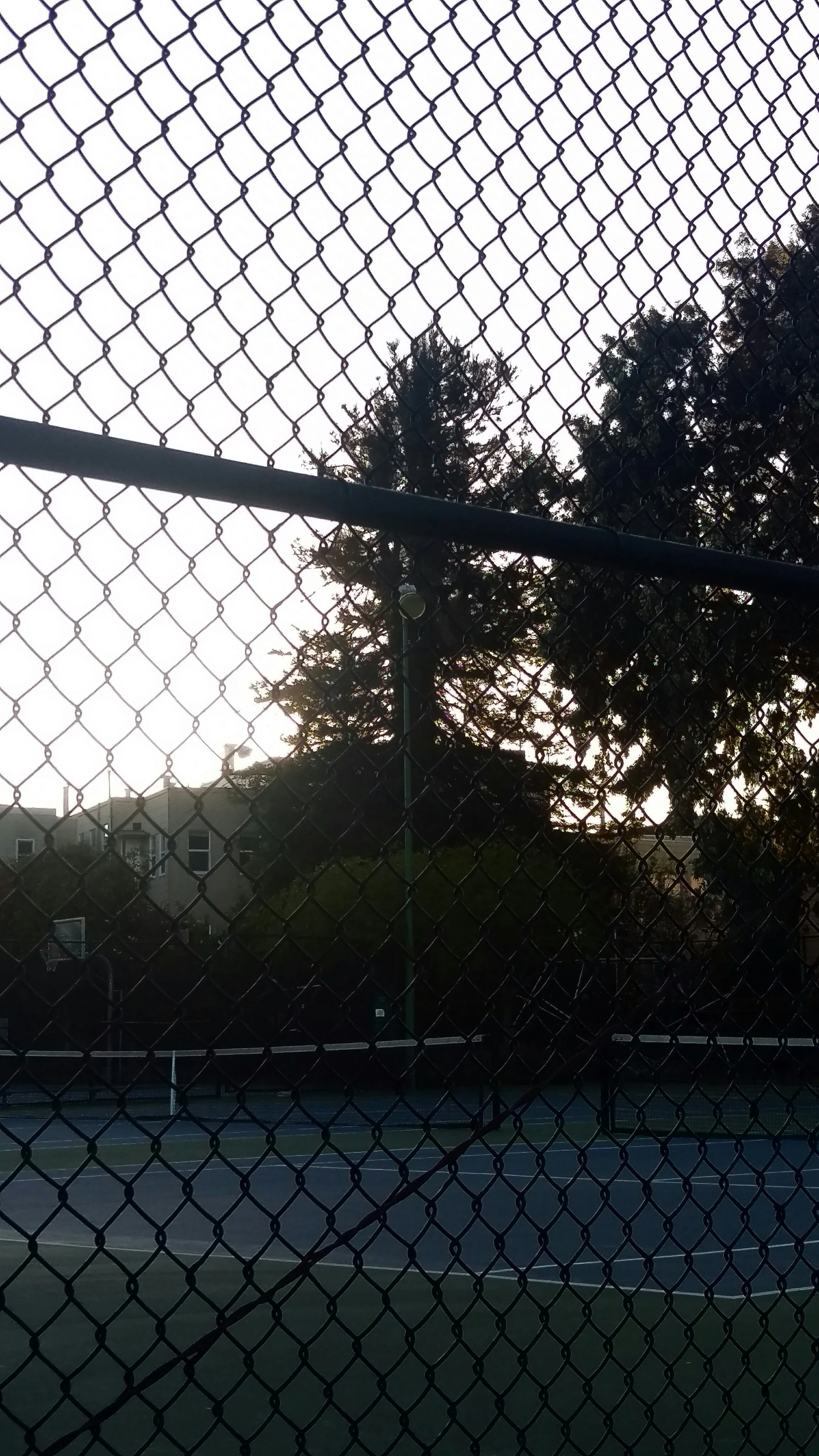 Plants Have Feelings — Erina C Alejo