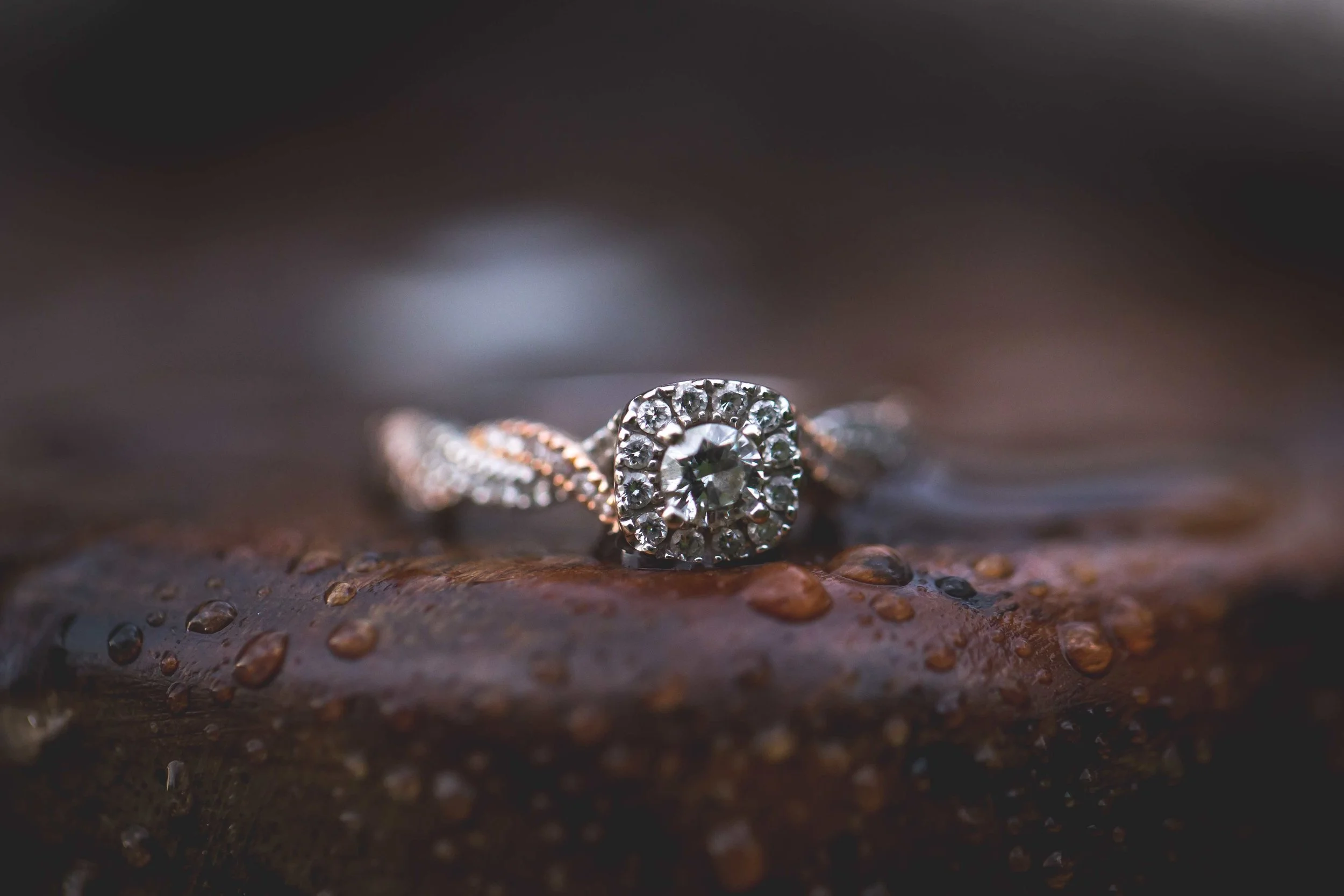 BECCA + TYLER — LICHTER PHOTOGRAPHY