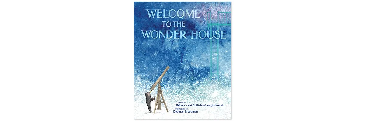Welcome to the Wonder House — Deborah Freedman