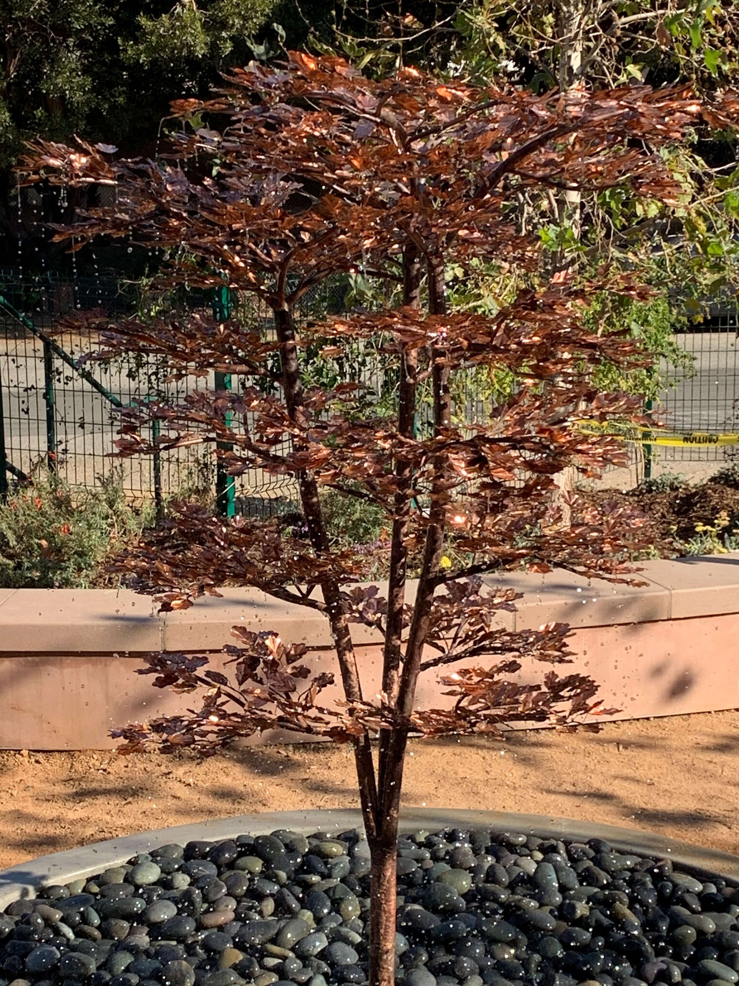 Malibu Oak Tree MalibuFountains — Malibu Fountains