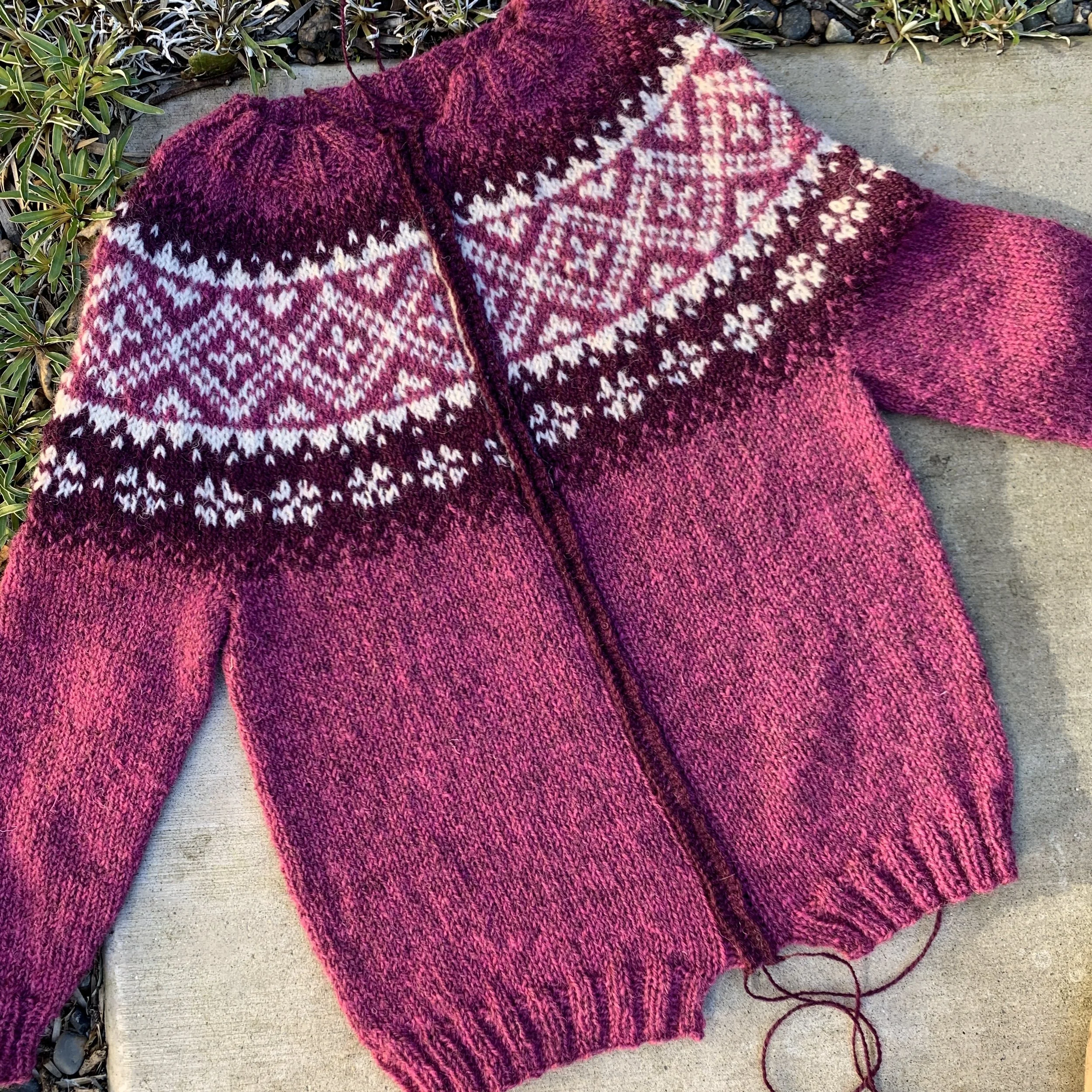 Curious About Steeking — Curious Crafters