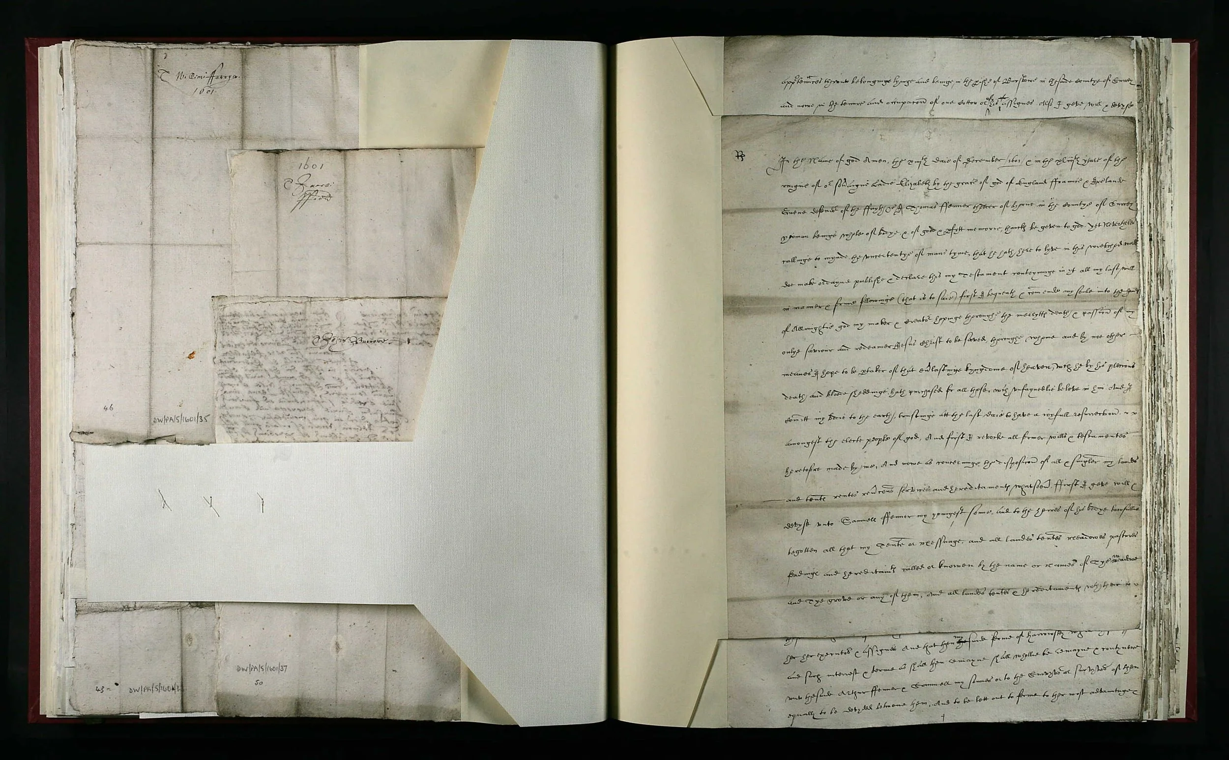 Thomas Fenner 1540-1601 — The Fenner Family Tree