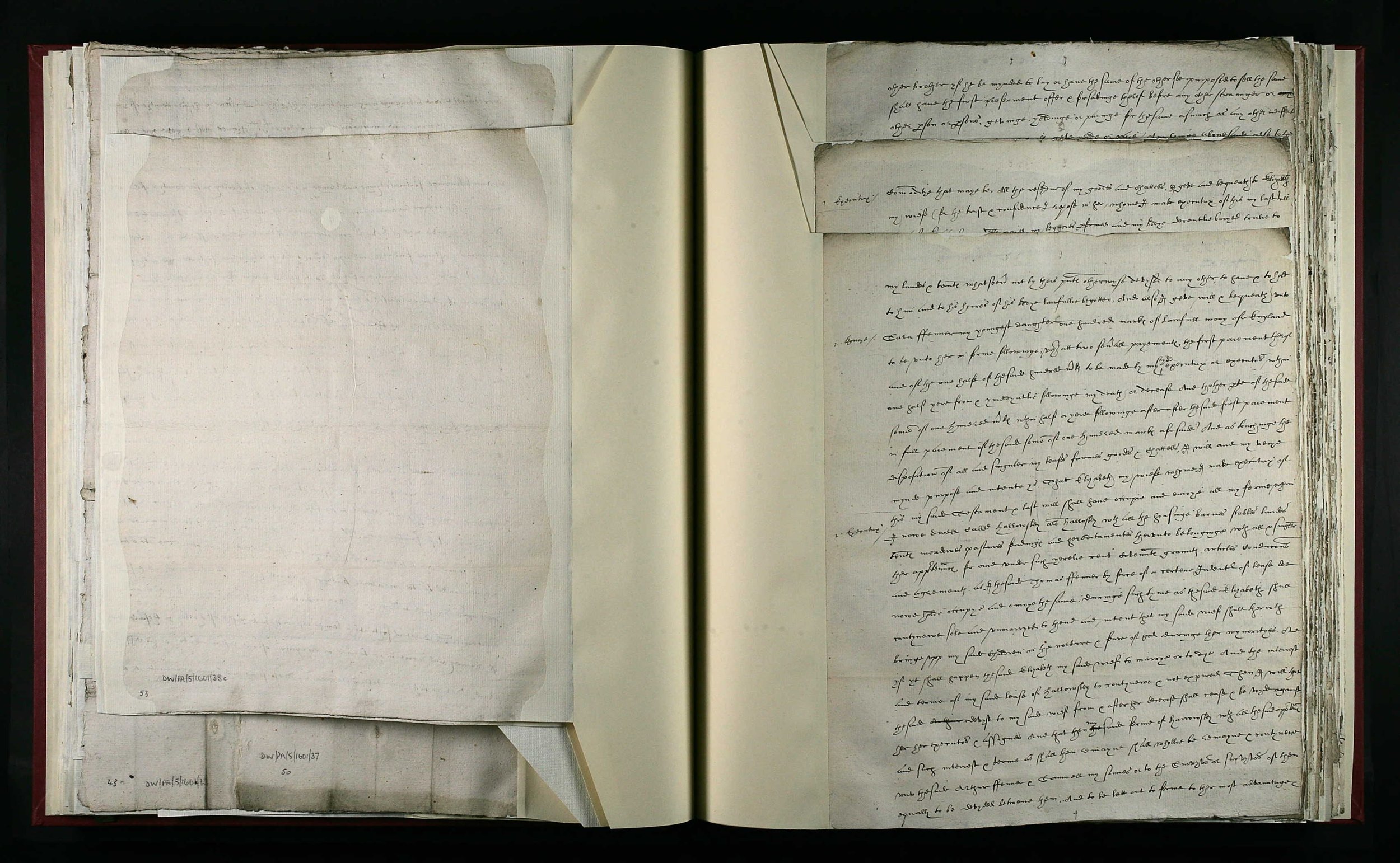 Thomas Fenner 1540-1601 — The Fenner Family Tree