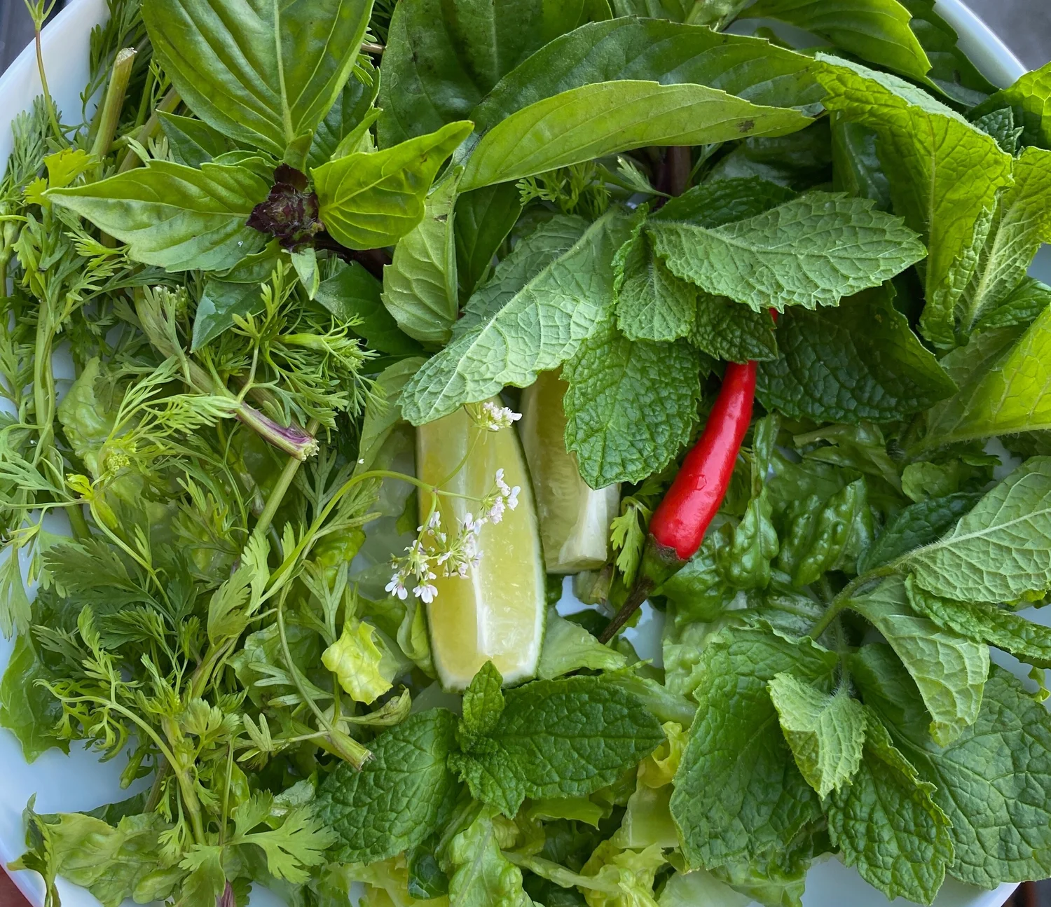 For 'Top Chef' judge Nilou Motamed, the Iranian herb platter sabzi ...