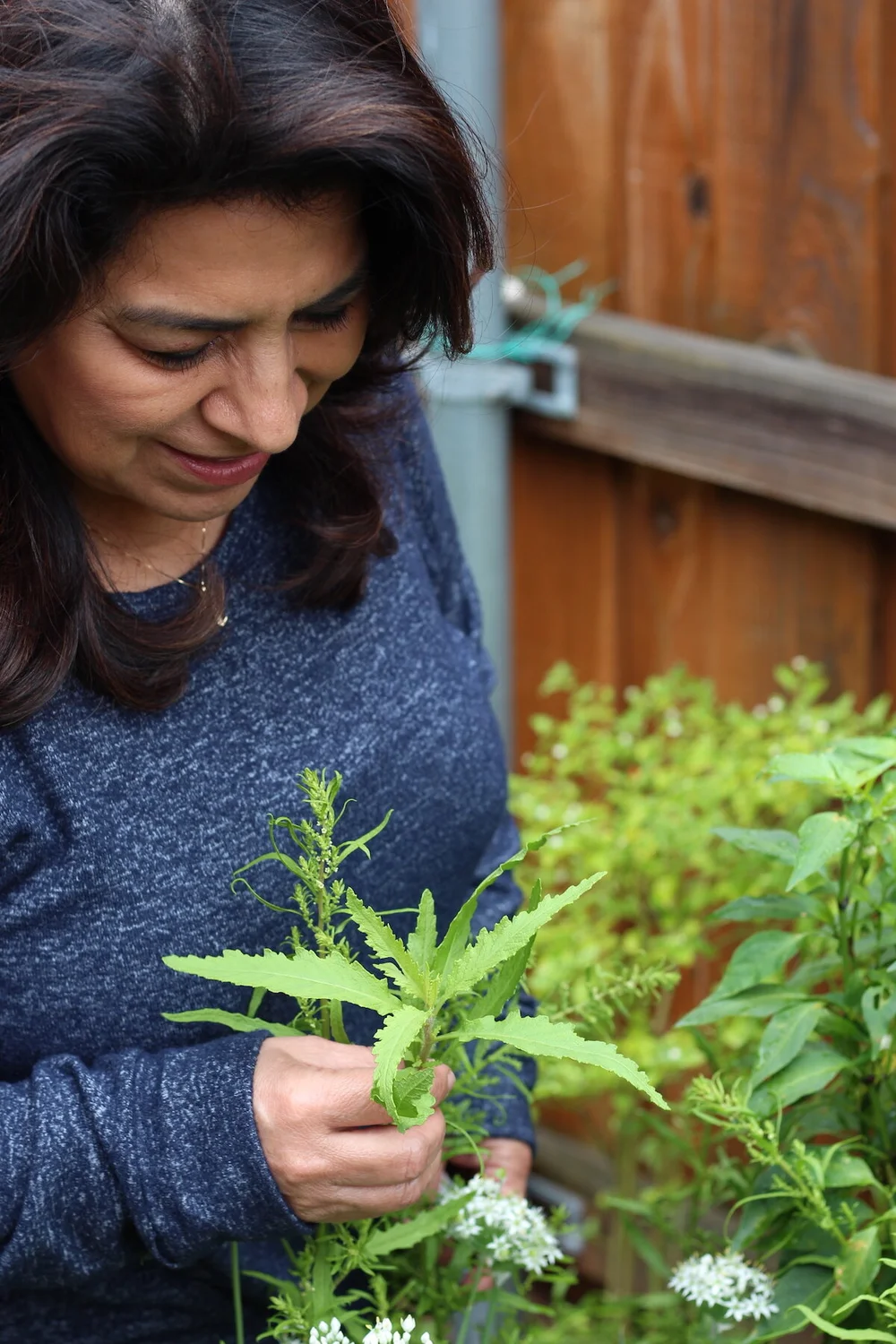 With 'The Mexican Home Kitchen,' Mely Martínez is now everyone's ...