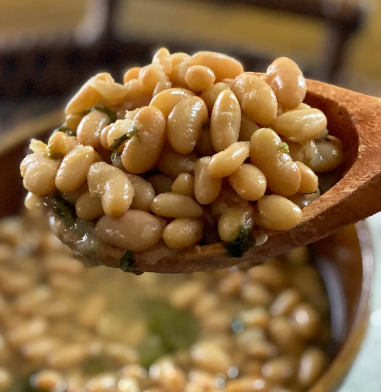 Bayo Beans — Cooks Without Borders