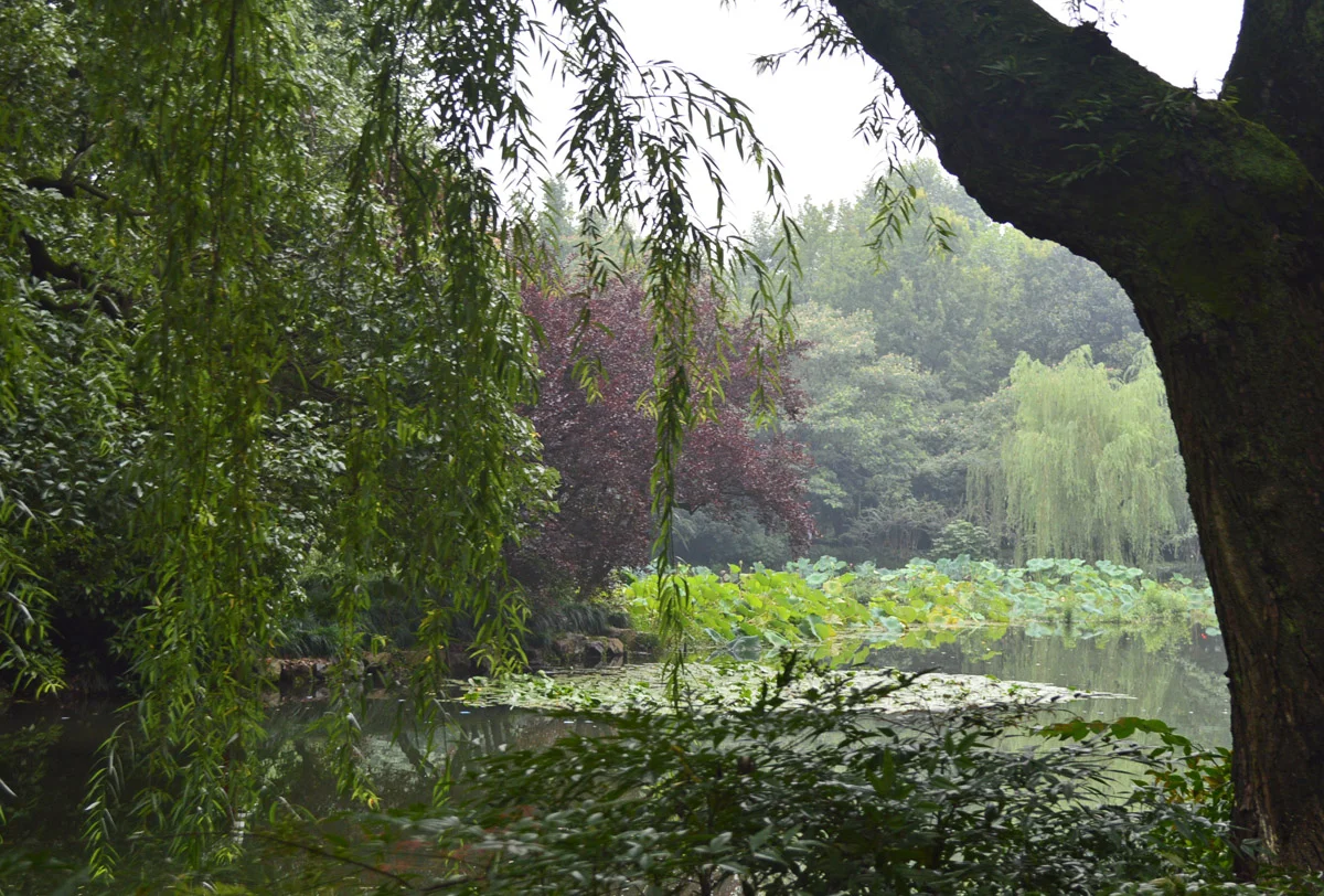 You Need To Add Hangzhou To Your China Itinerary — Go Seek Explore