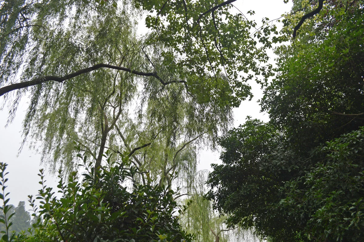 You Need To Add Hangzhou To Your China Itinerary — Go Seek Explore