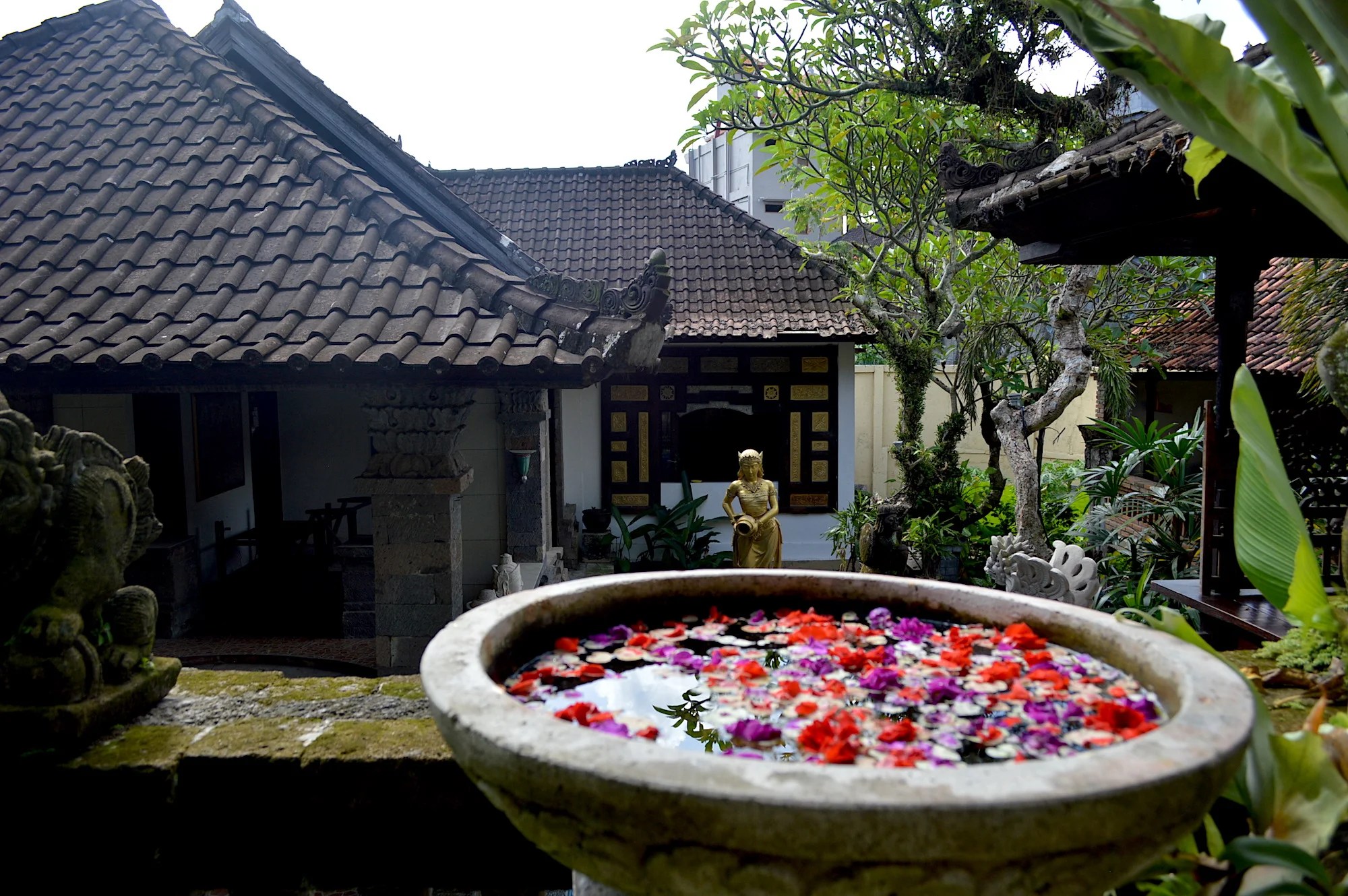 14 Incredible Things To Do in Bali — Go Seek Explore