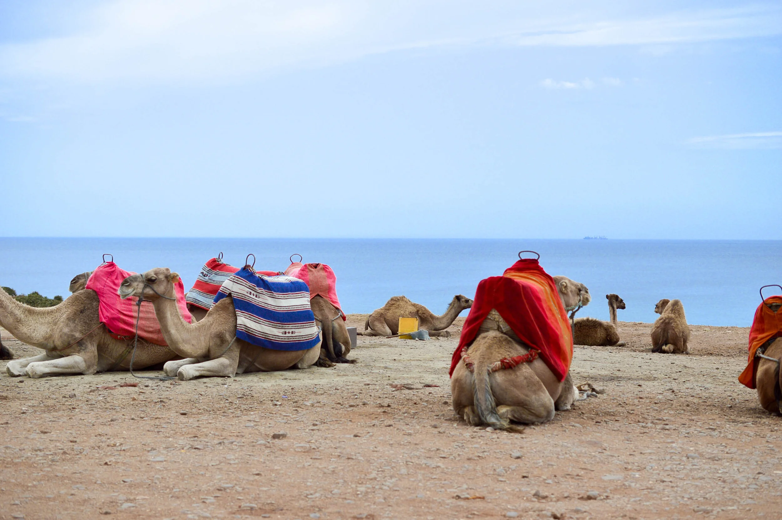 8 Awesome Things to Do on a Tangier, Morocco Day Trip — Go Seek Explore